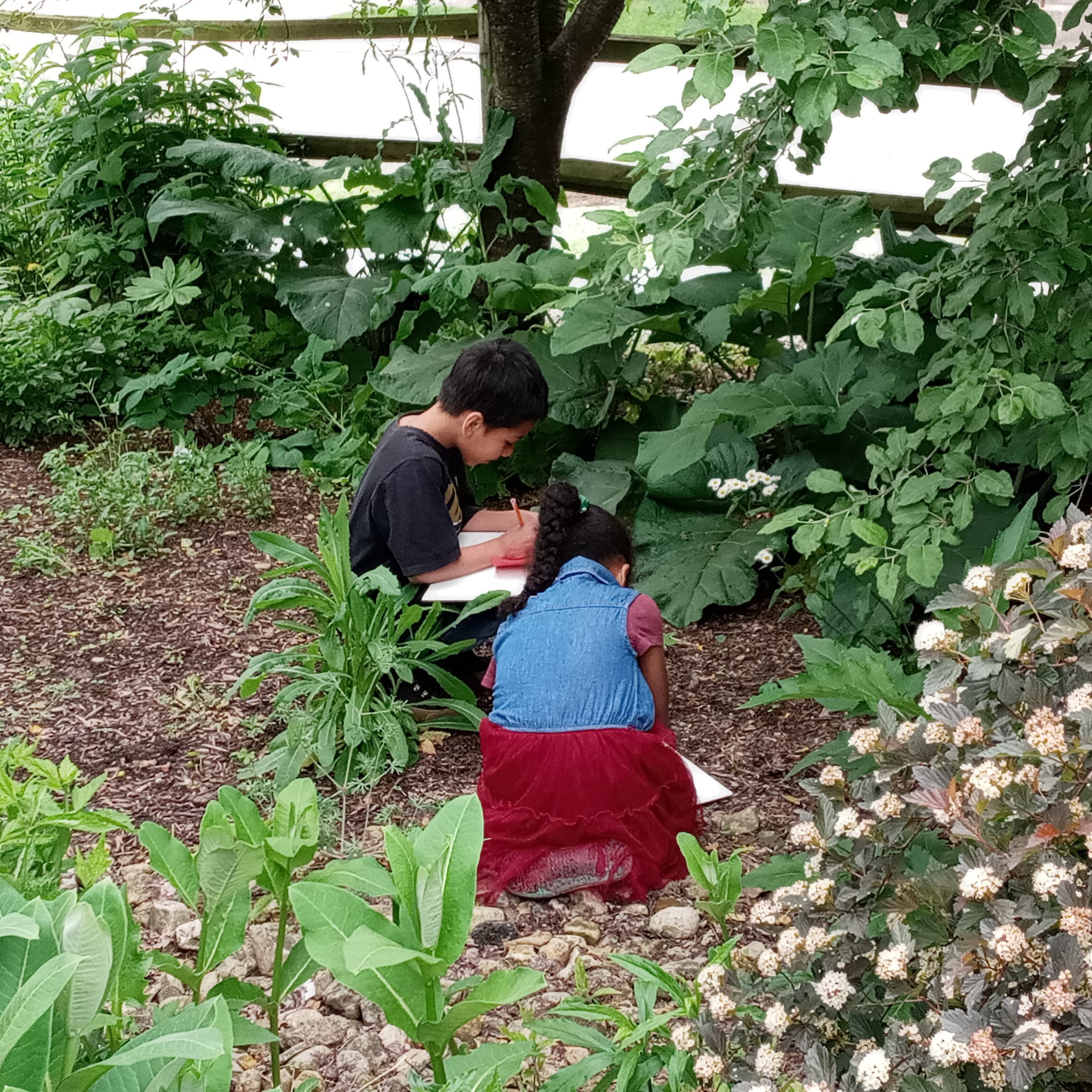 Summer Camp — Highland Youth Garden