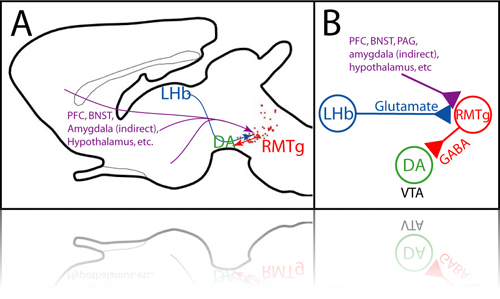 Jhou Lab