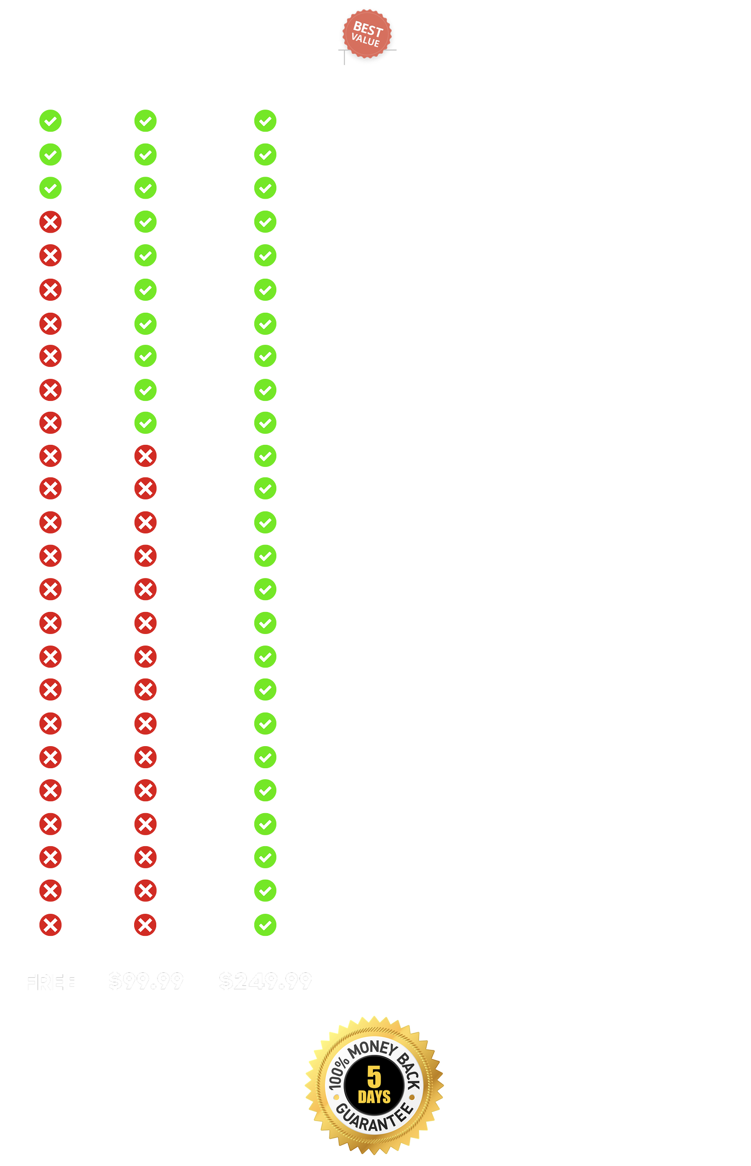 After Effects Mastery Course Cameron Erman