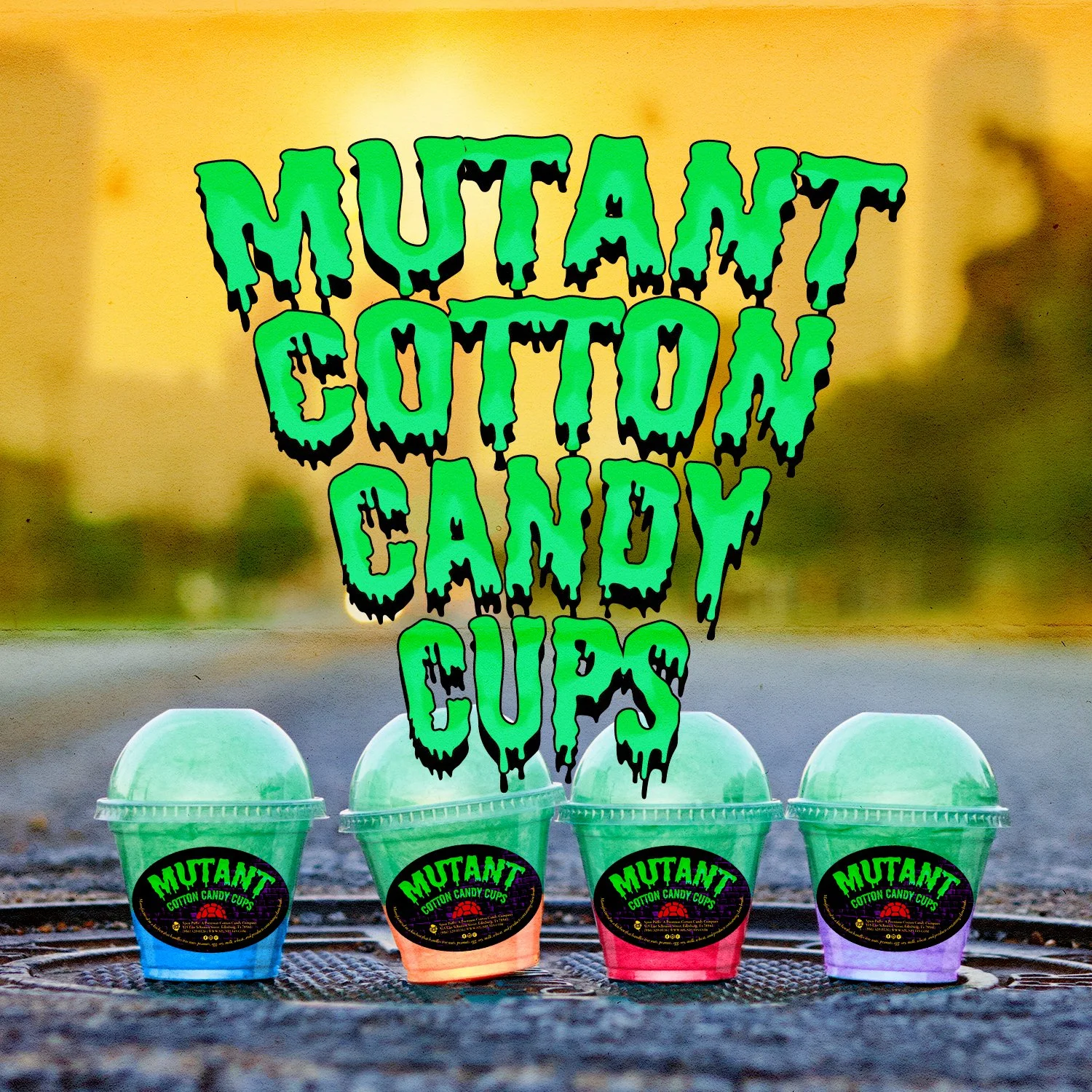 Spun Puffs: A Premium Cotton Candy Company