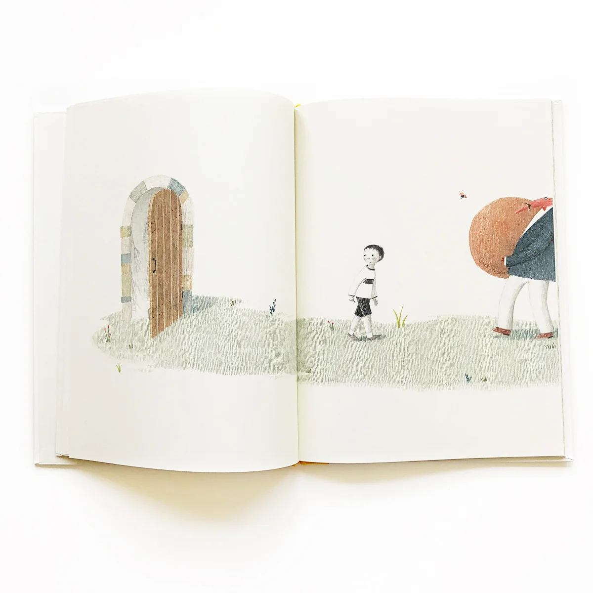 Little Lit Book Series: Wordless Books — Avery & Augustine