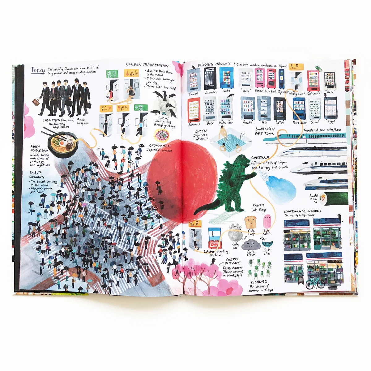 Everything & Everywhere: A Fact-Filled Adventure for Curious Globe ...