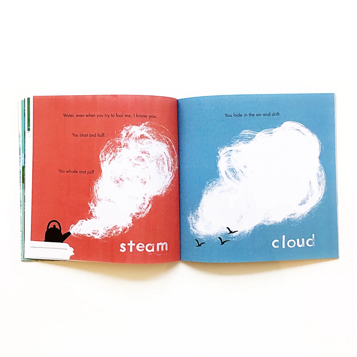 Hey, Water! — Avery & Augustine