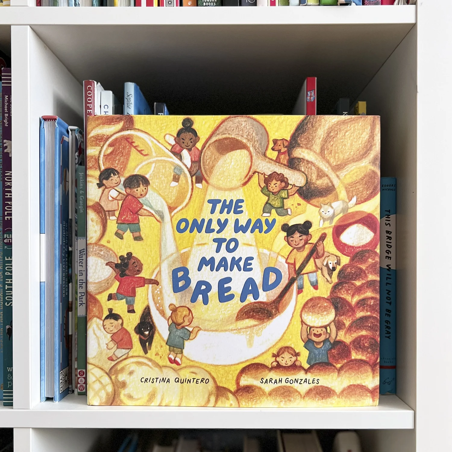 Avery & Augustine: Children's Books and More