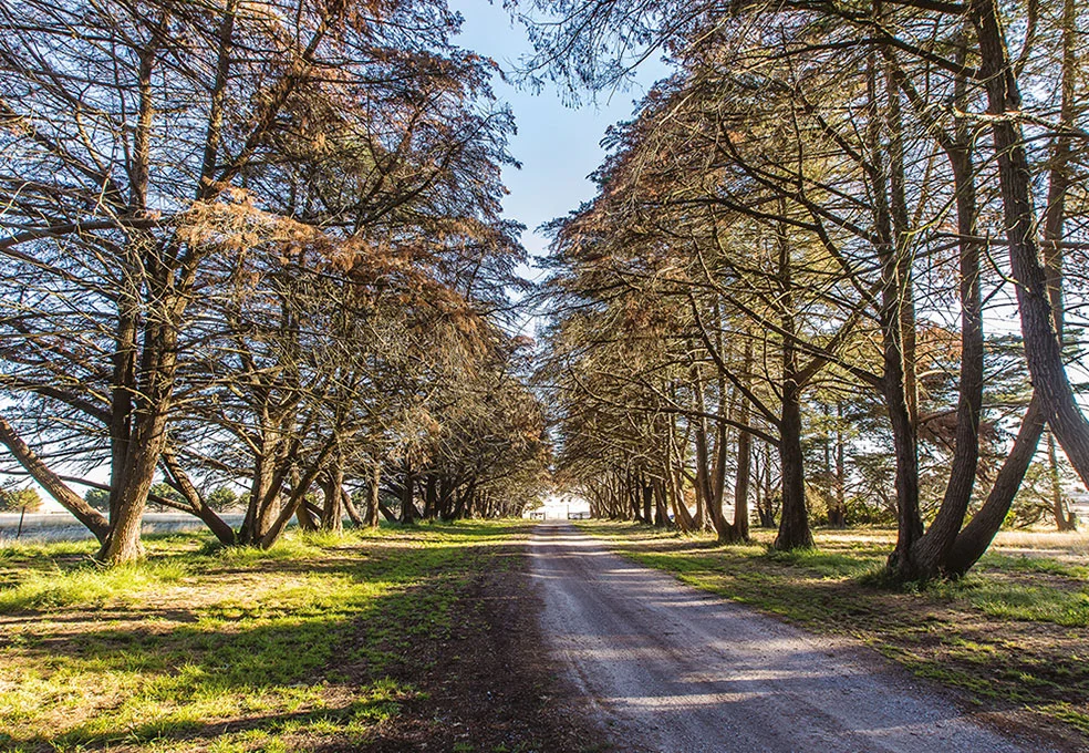 Montview Estate — Potter George Group