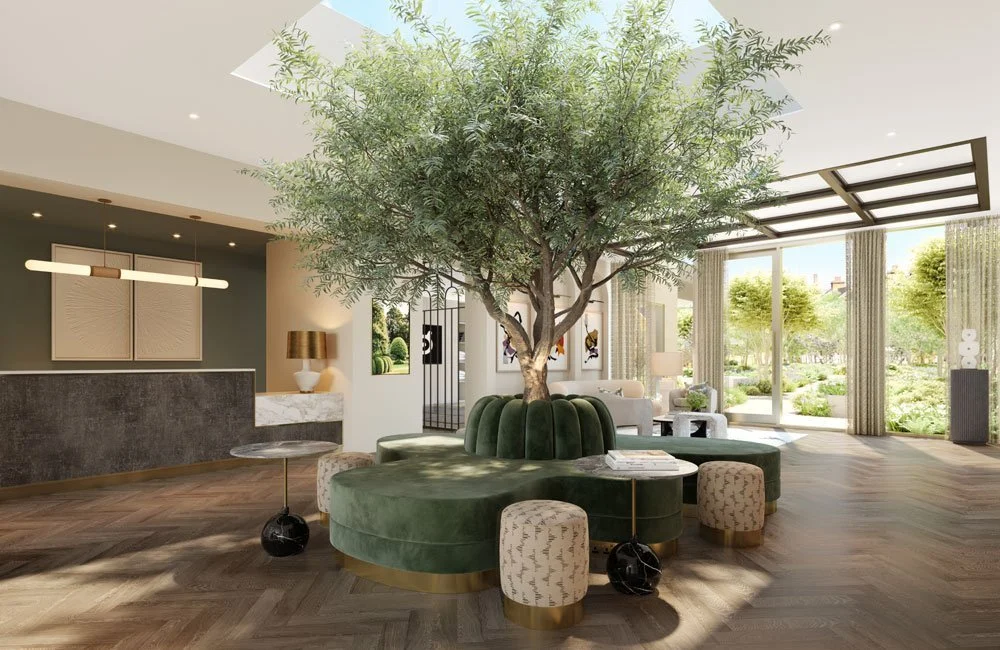 an introduction to neuroaesthetics in wellness interior design ...