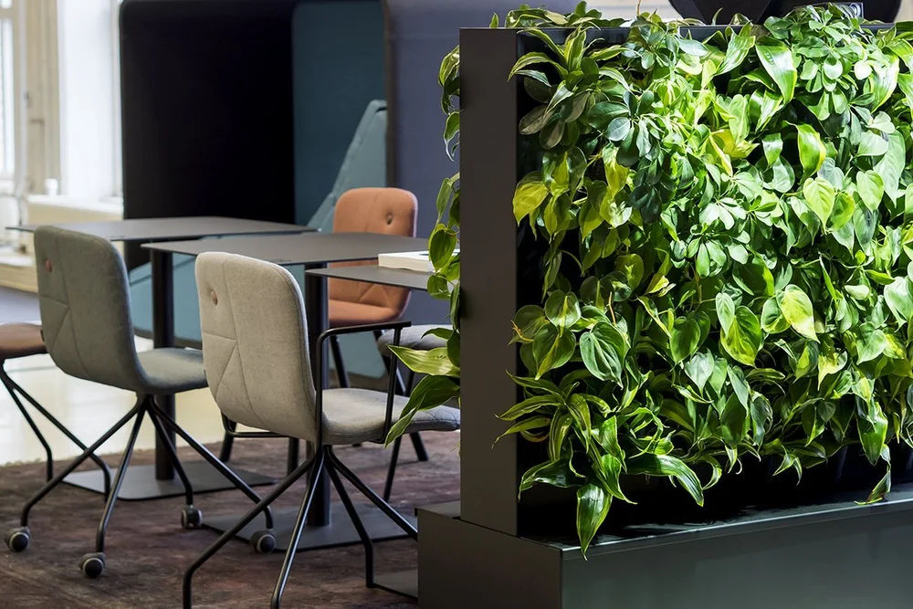 Biophilic design living walls UrbanStrong NYC — wellness design consultants
