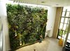 Biophilic design living walls UrbanStrong NYC — wellness design consultants