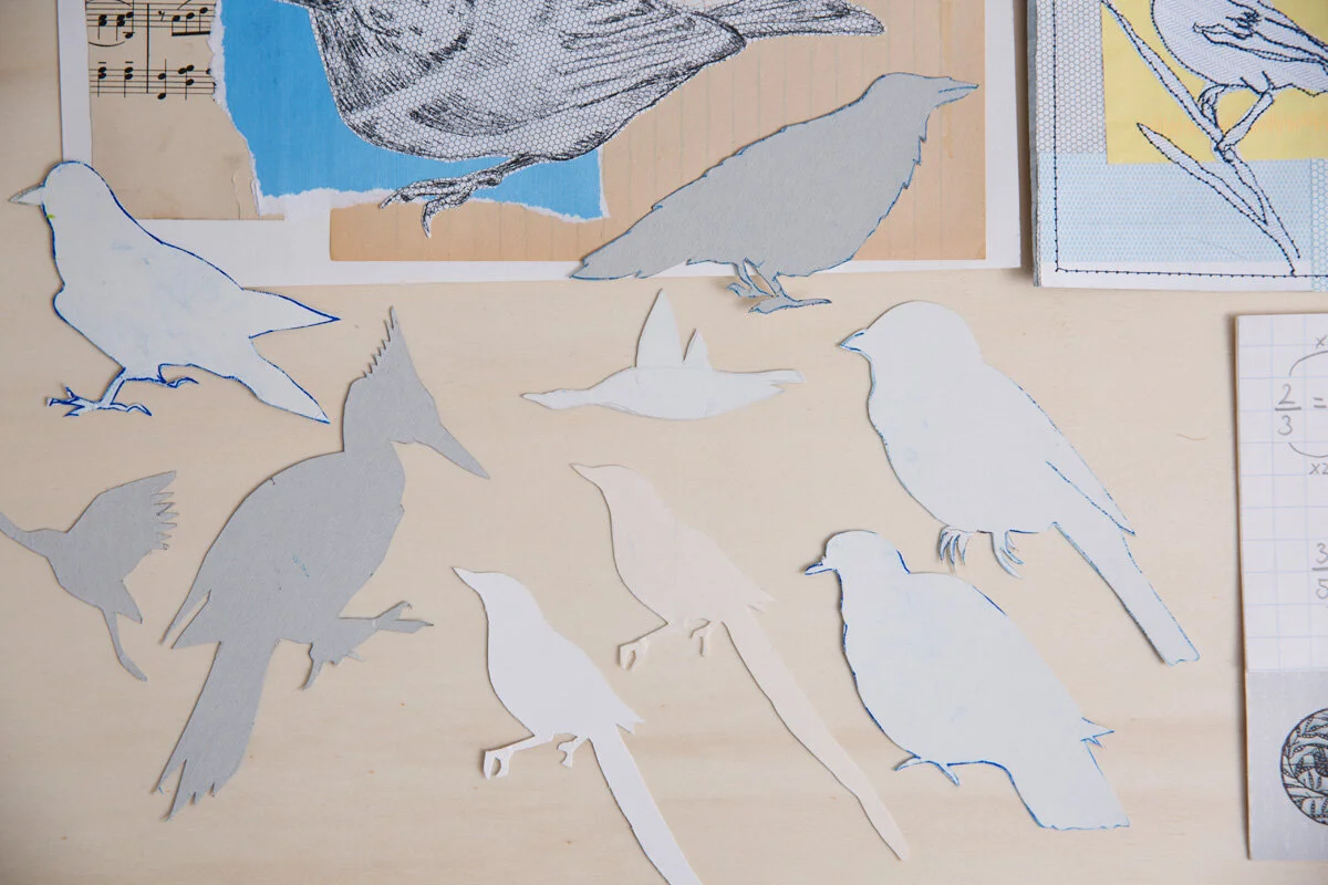 Creative Collage kit - Bird theme — ProteanArt - Encouraging creativity