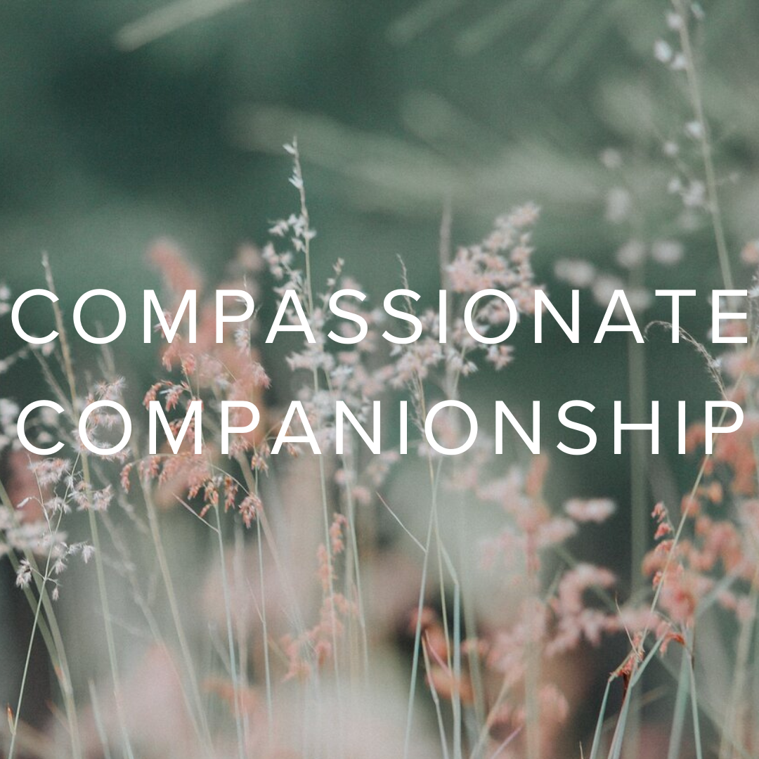 Compassionate Companionship — Peaceful Presence