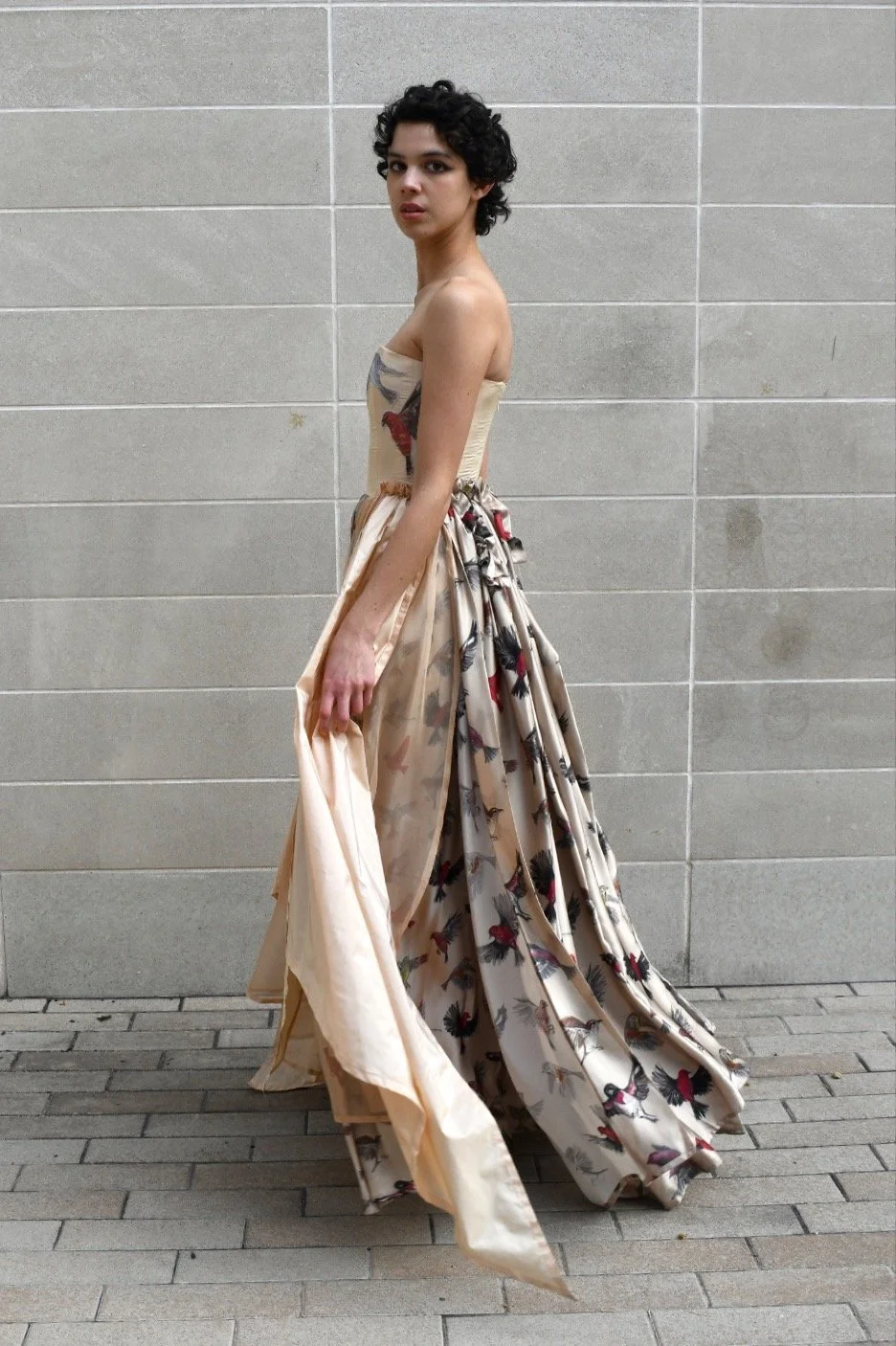 The Passerines — Maxine Roeder