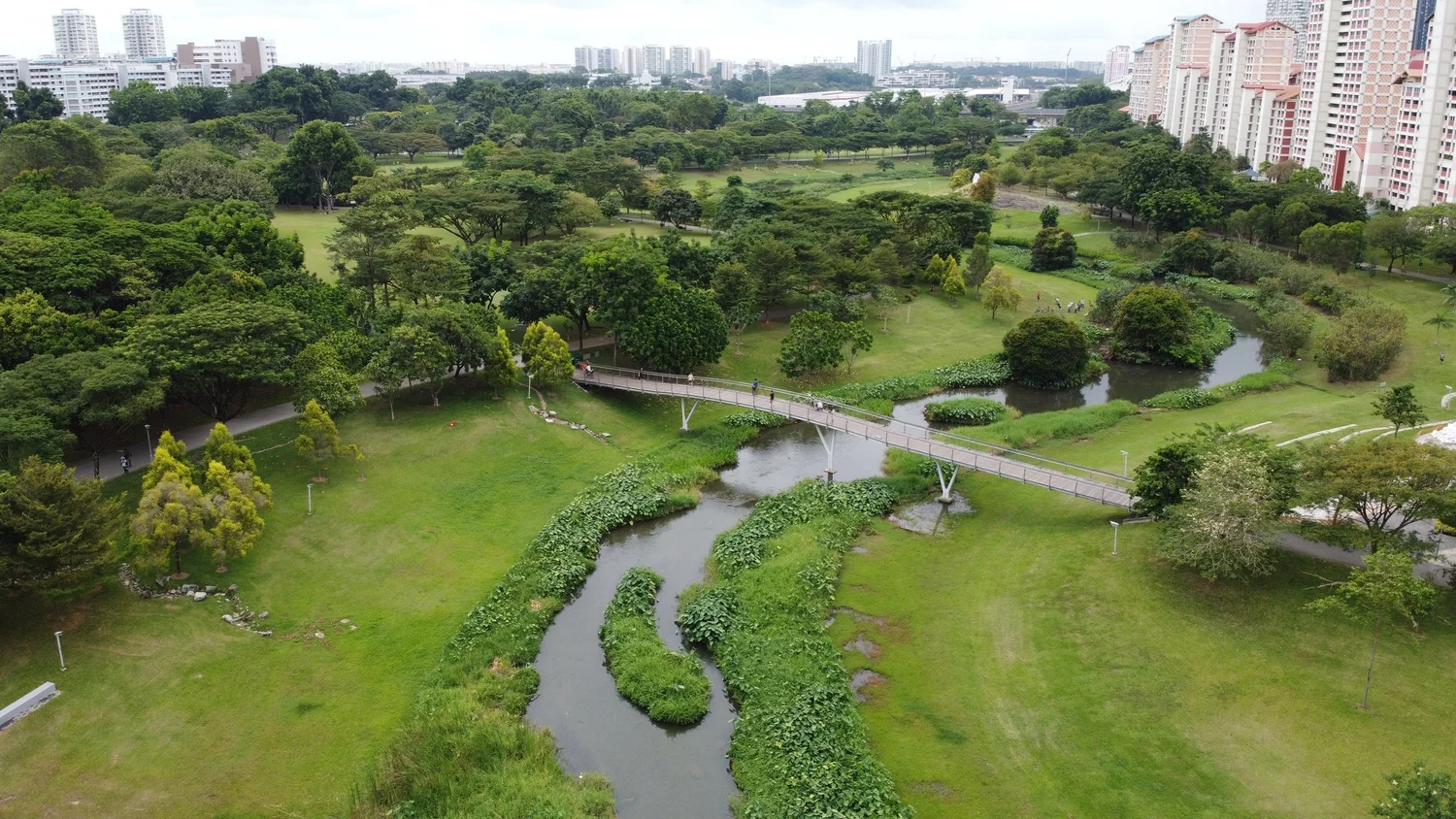 Bishan - Ang Mo Kio Park — DREISEITLconsulting