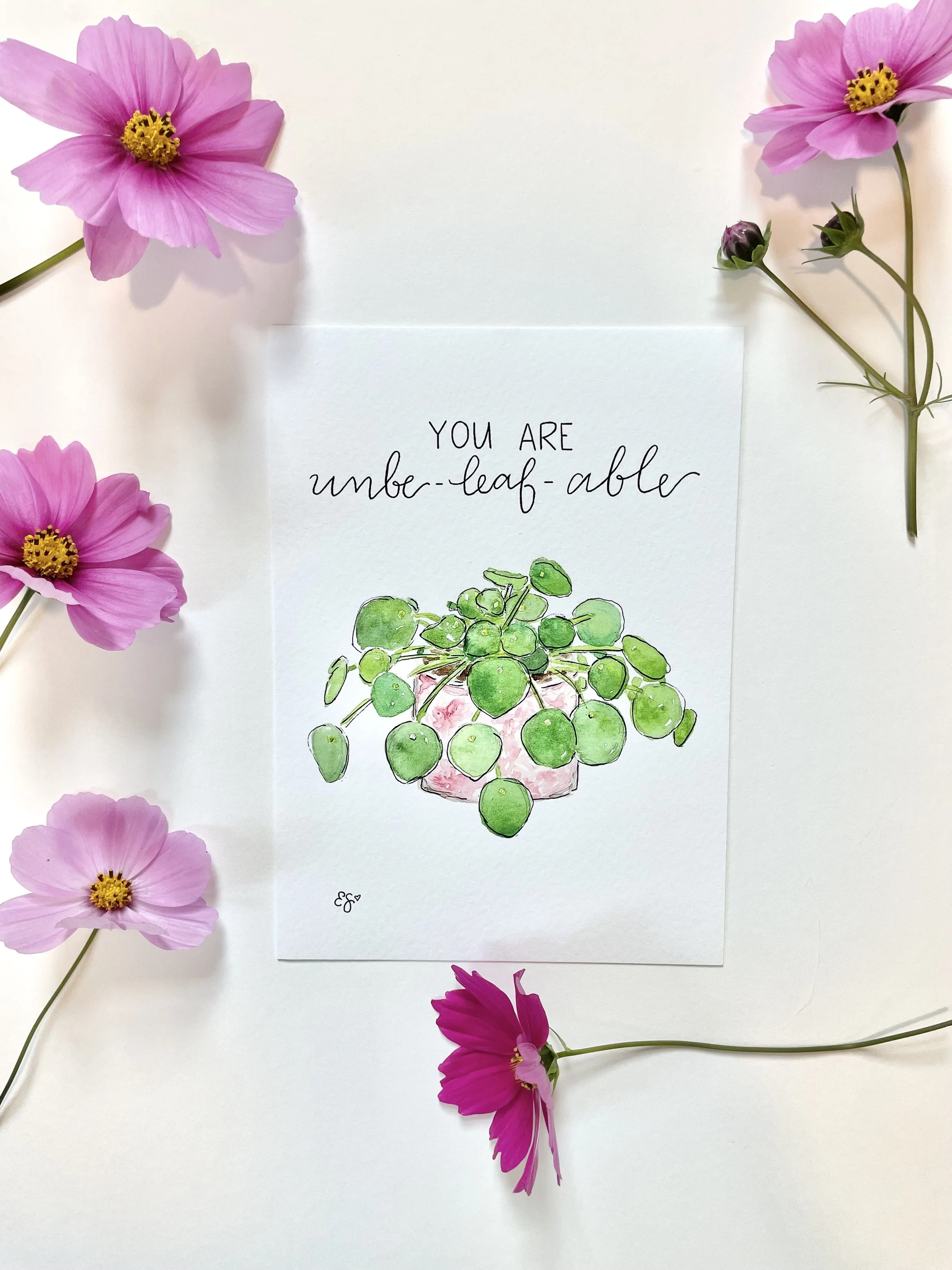 Prints and Cards by Ellen Schaefer — Ellen Schaefer Art