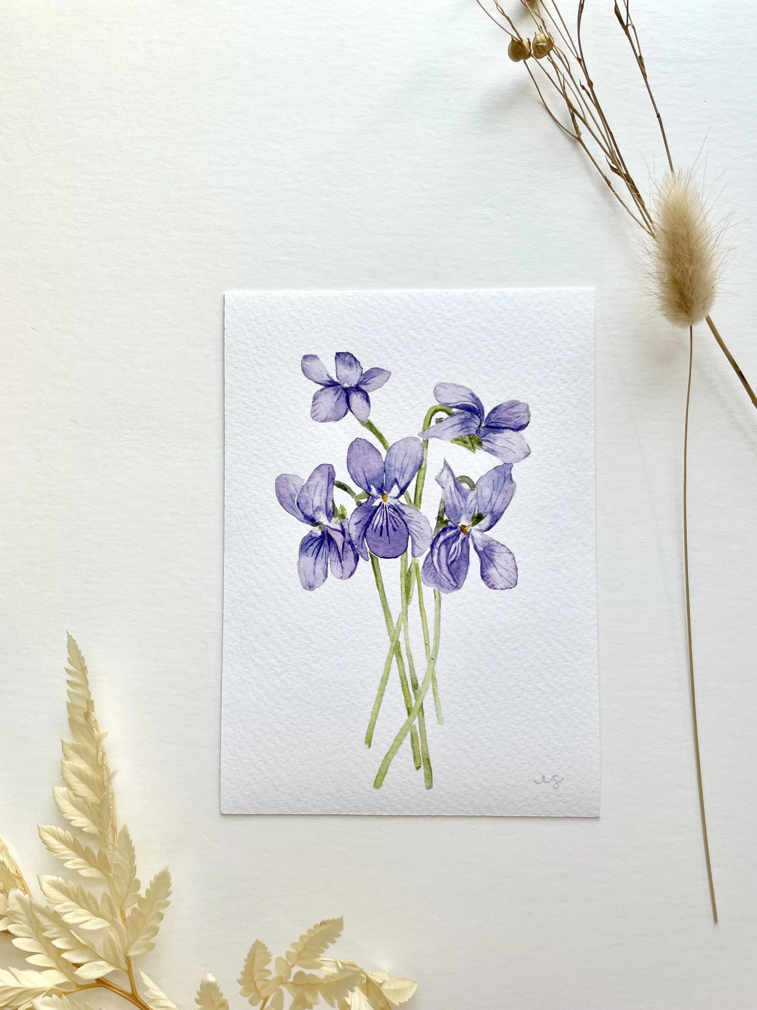 Prints and Cards by Ellen Schaefer — Ellen Schaefer Art