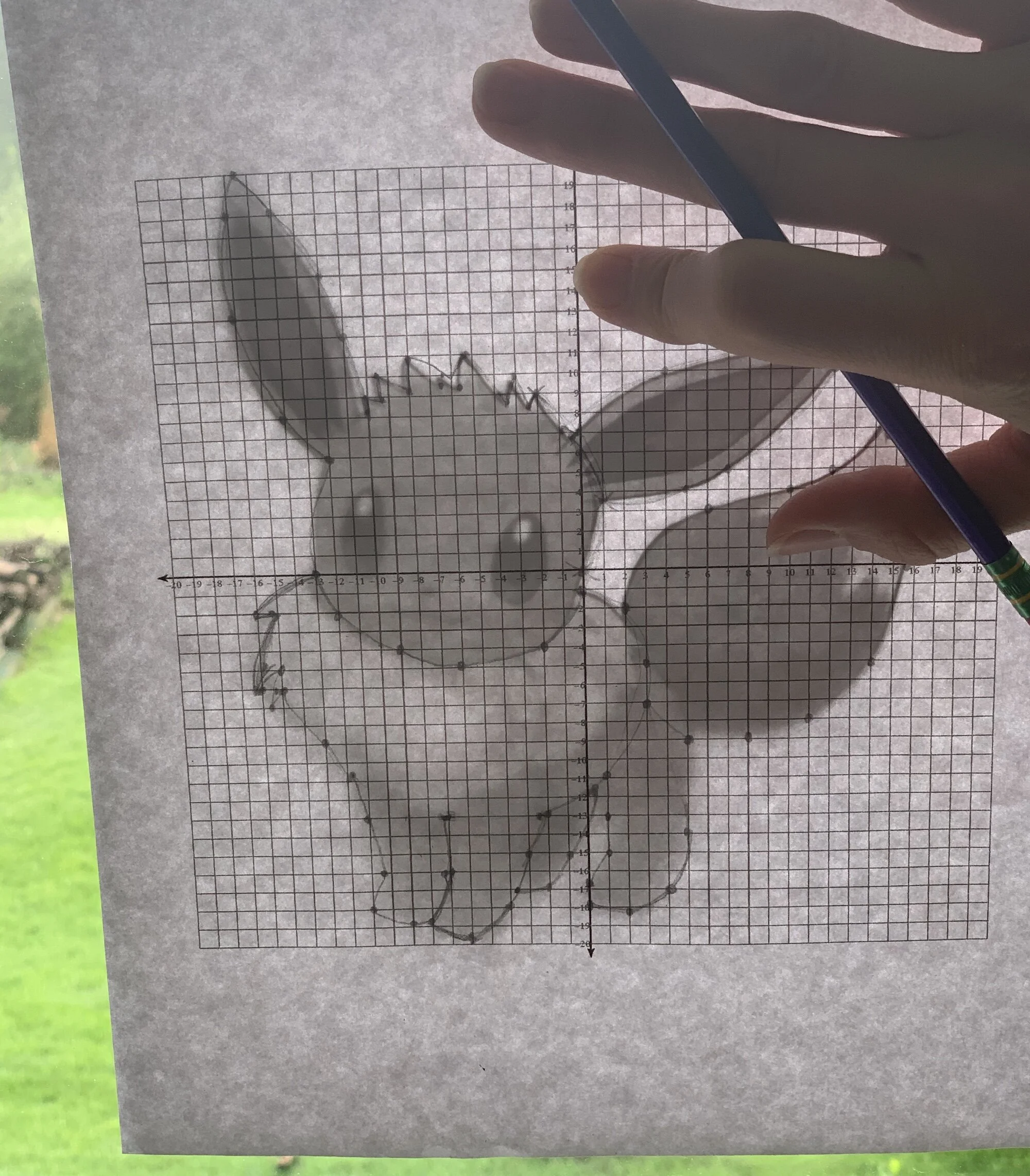 Coordinate Graph With Drawing