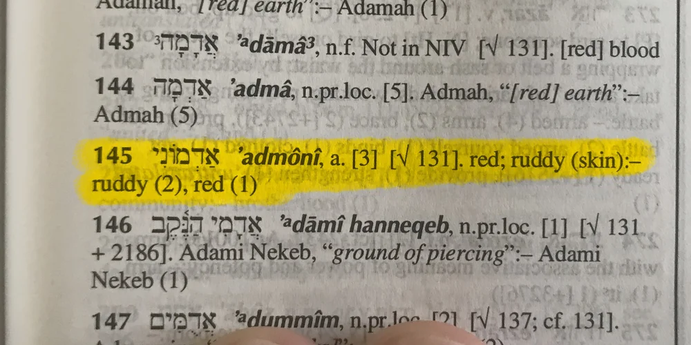 King David, A Fiery Redhead? — Showing The World