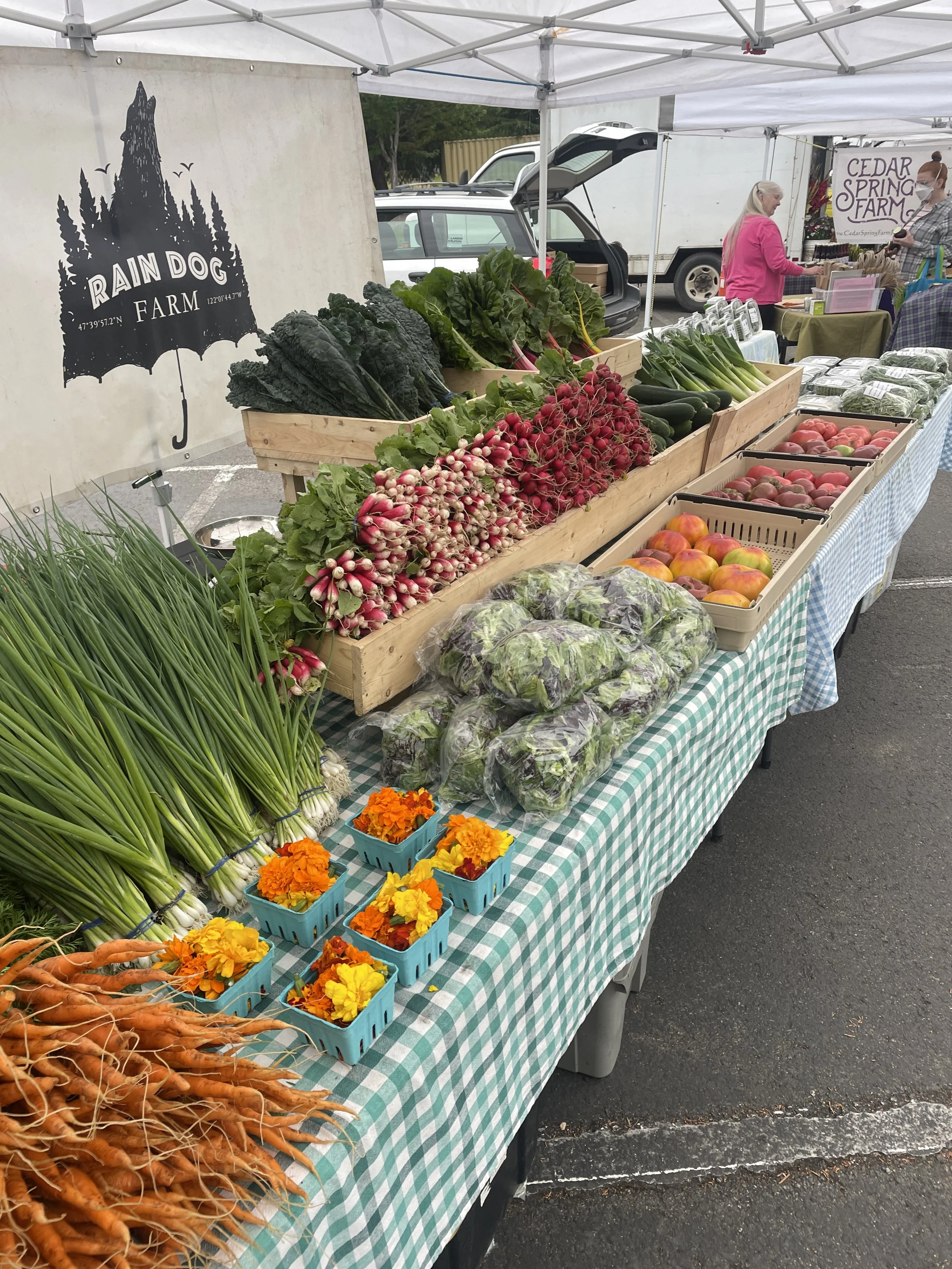 farmers markets — the truth is always fresh