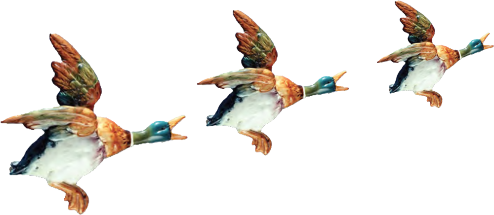About Us — The Phat Duck
