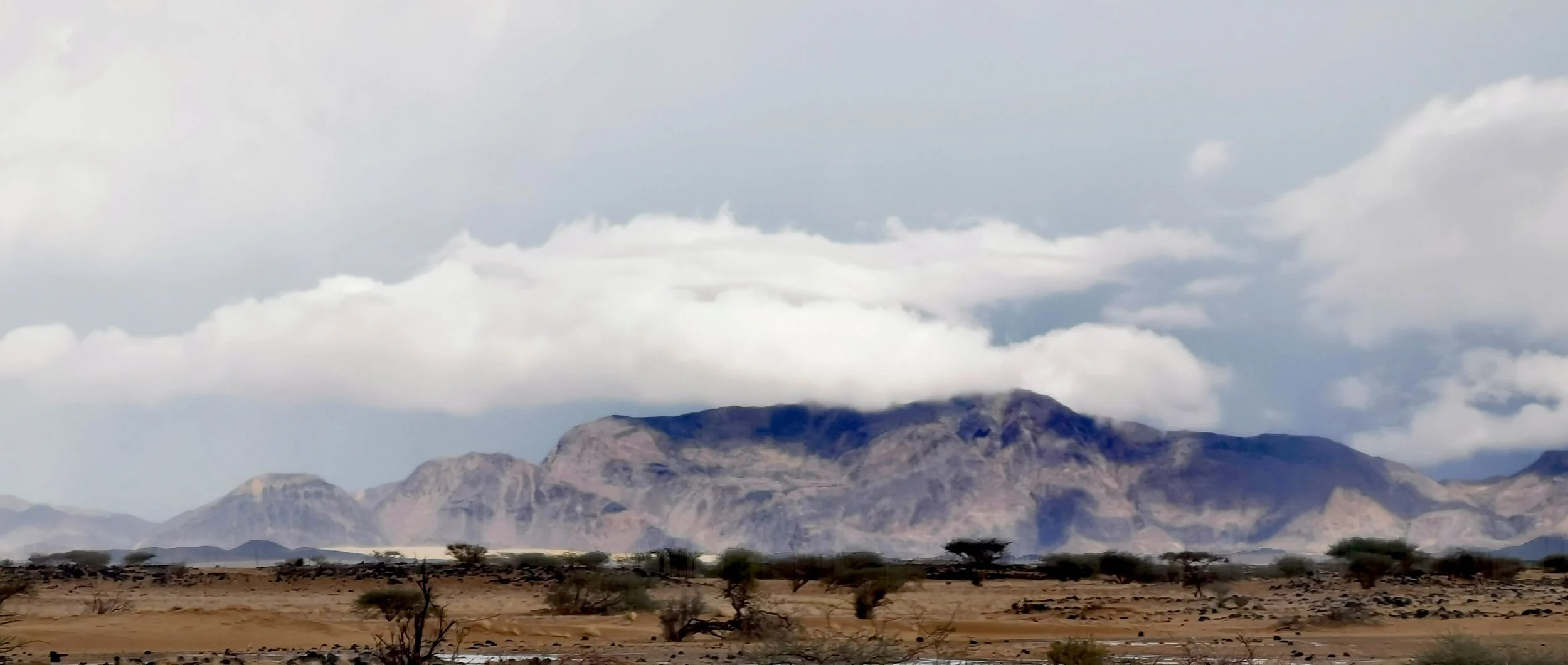 Abu Huraira رضي الله عنه: A Biography — Imam Ghazali Institute