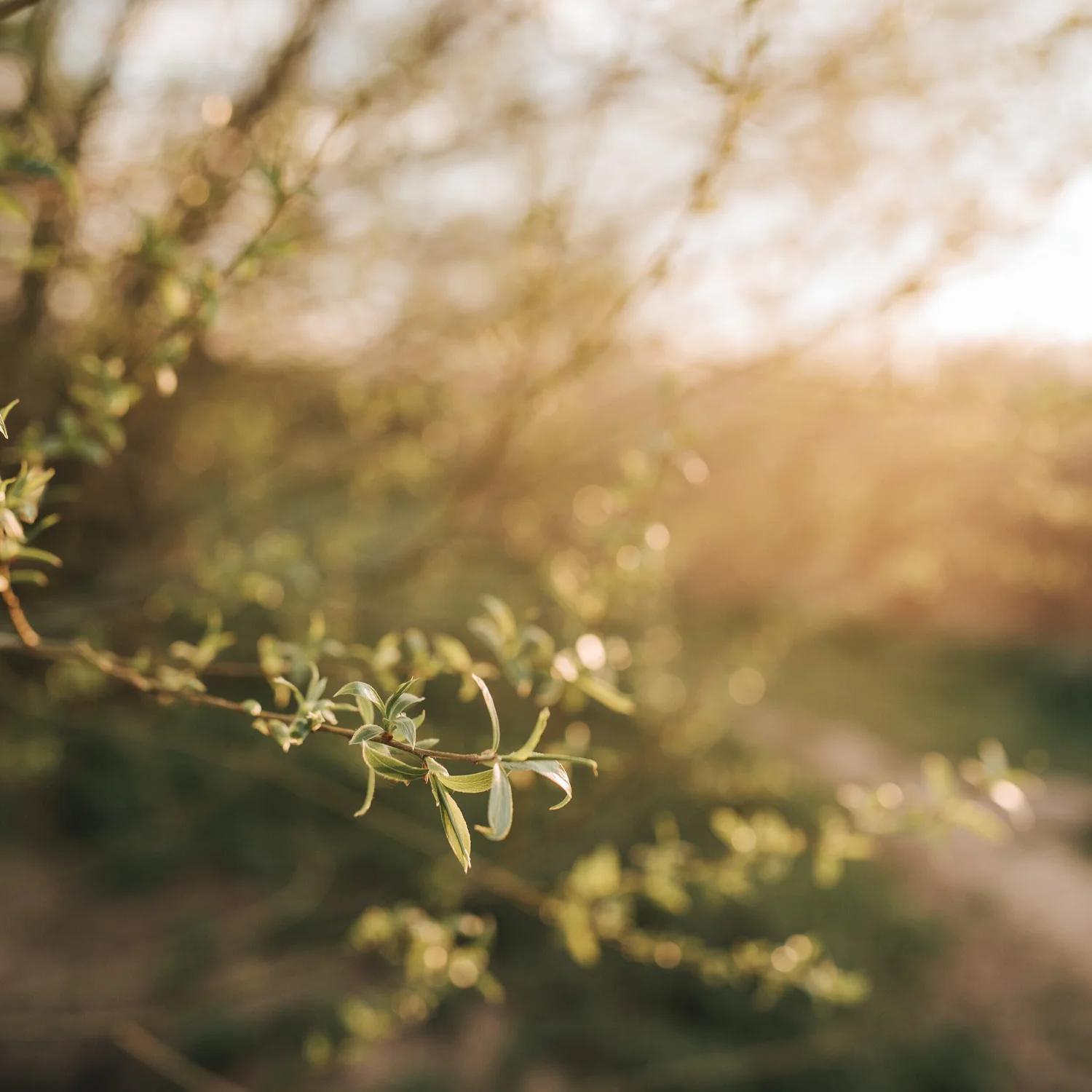 Coaching - what is it and when you might need it — Anna Dunleavy