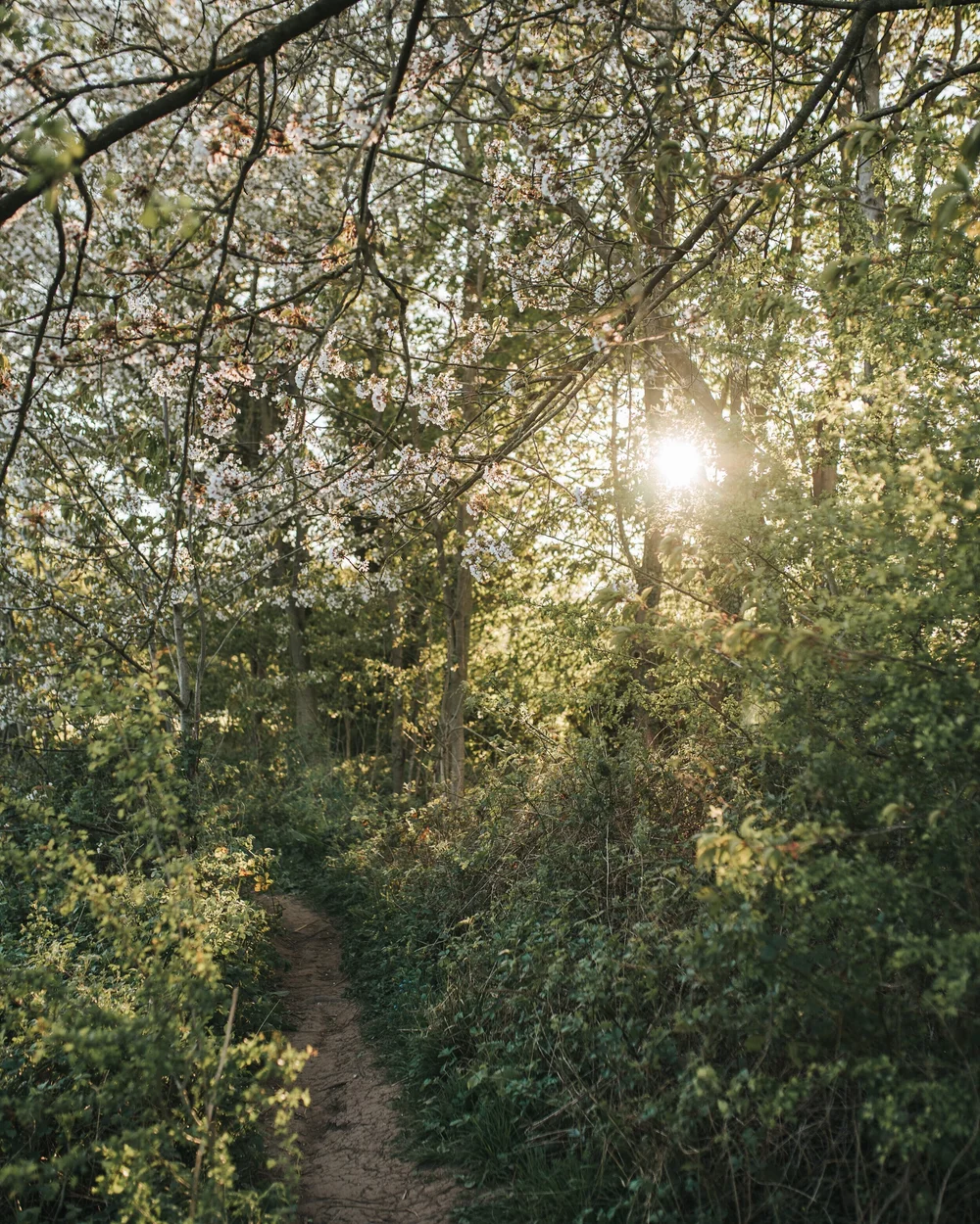 Creating a powerful morning routine — Anna Dunleavy