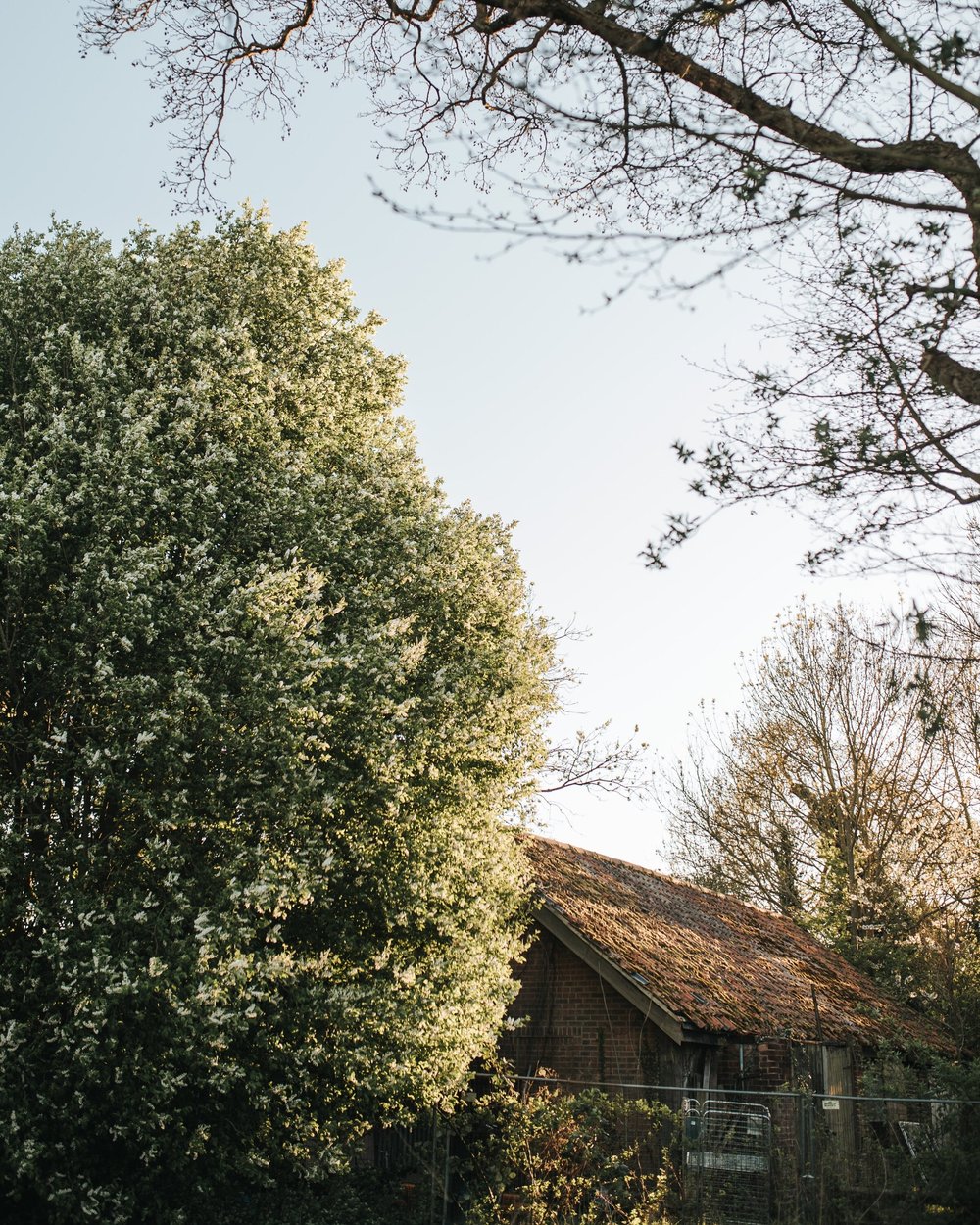 Creating a powerful morning routine — Anna Dunleavy