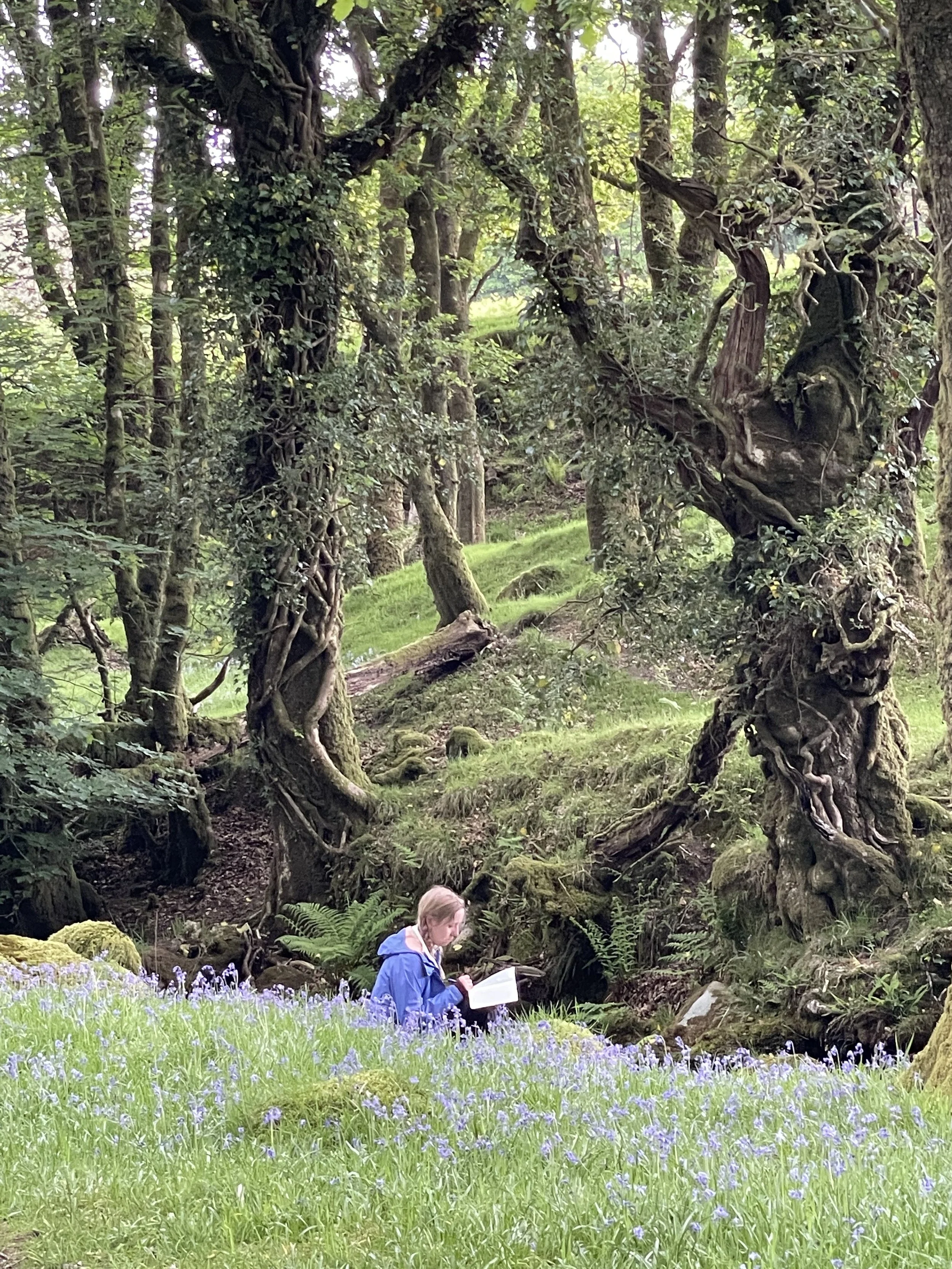 Guided walks in nature