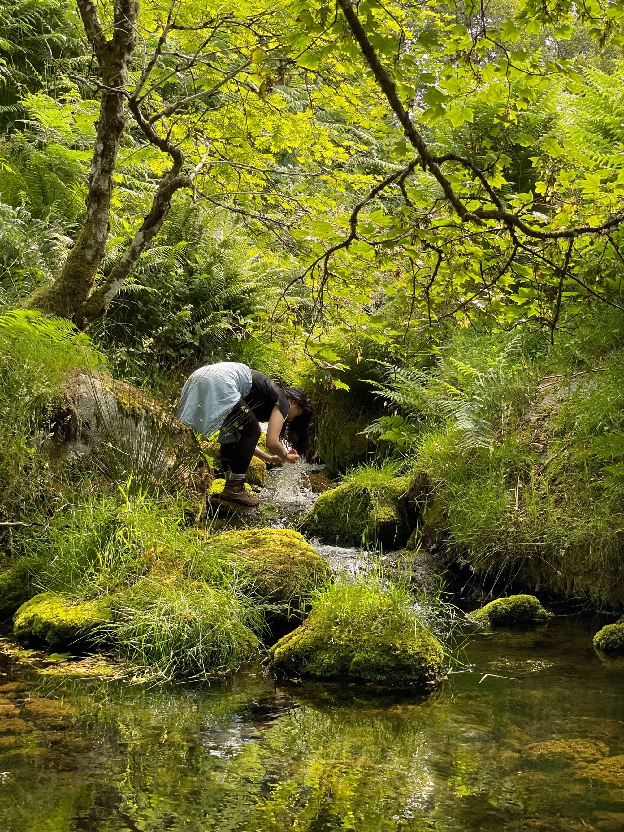 Guided walks in nature