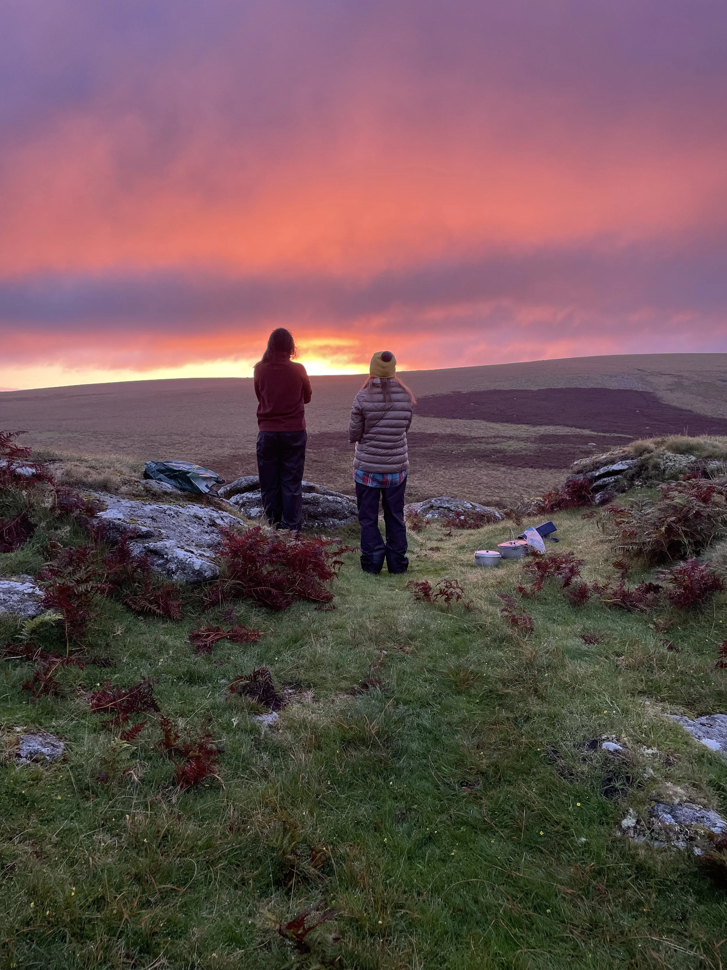 Guided walks in nature