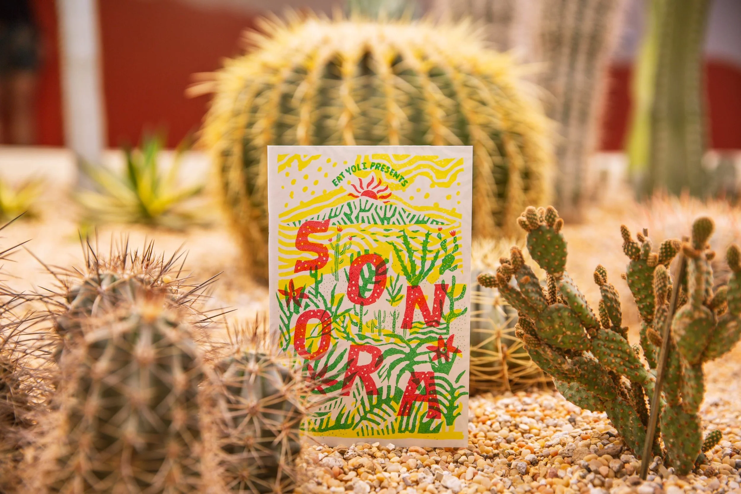 Shop — Yoli Tortilleria