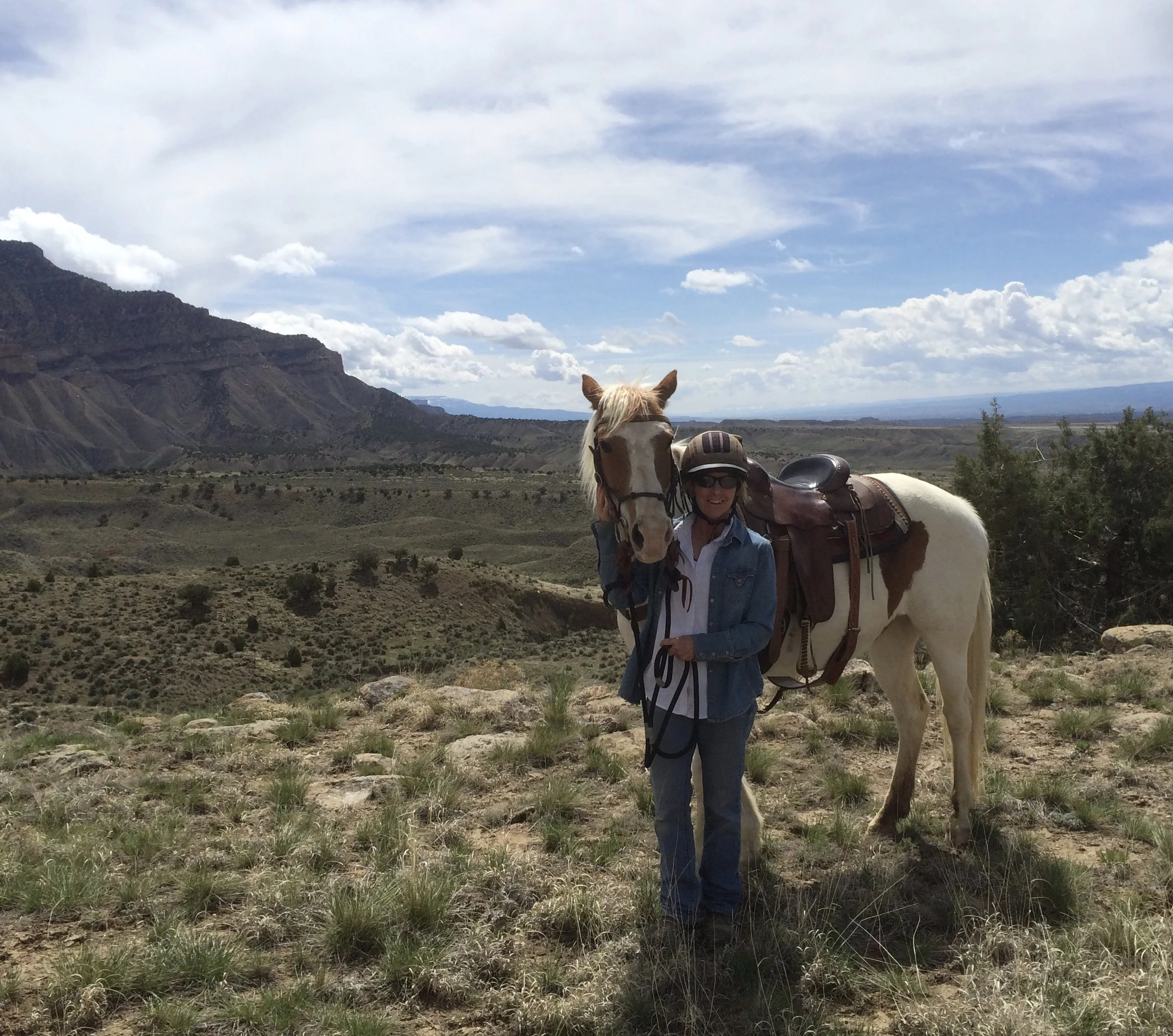 About Pam — Pam McLaughlin Watercolors