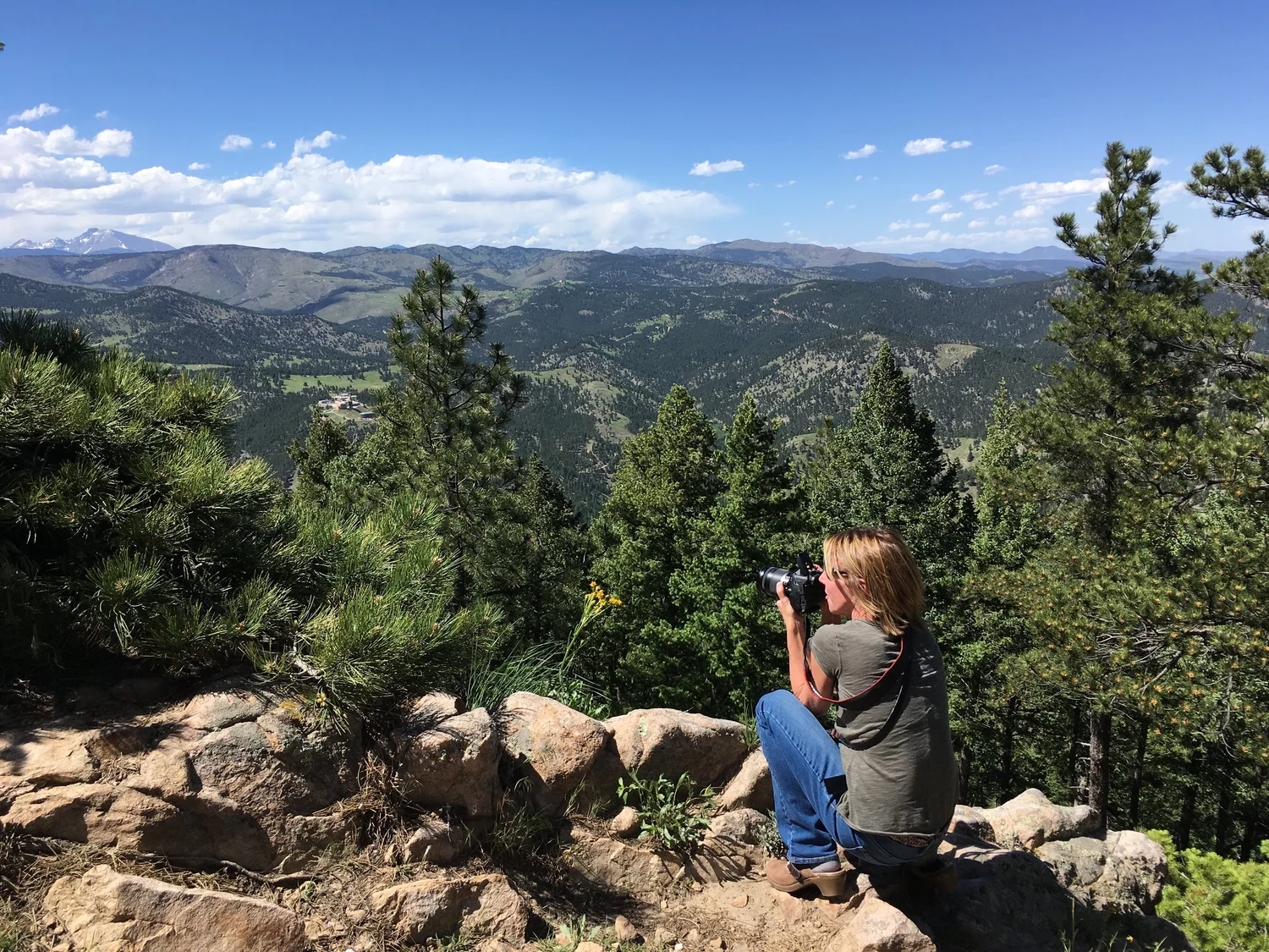 About Pam — Pam McLaughlin Watercolors