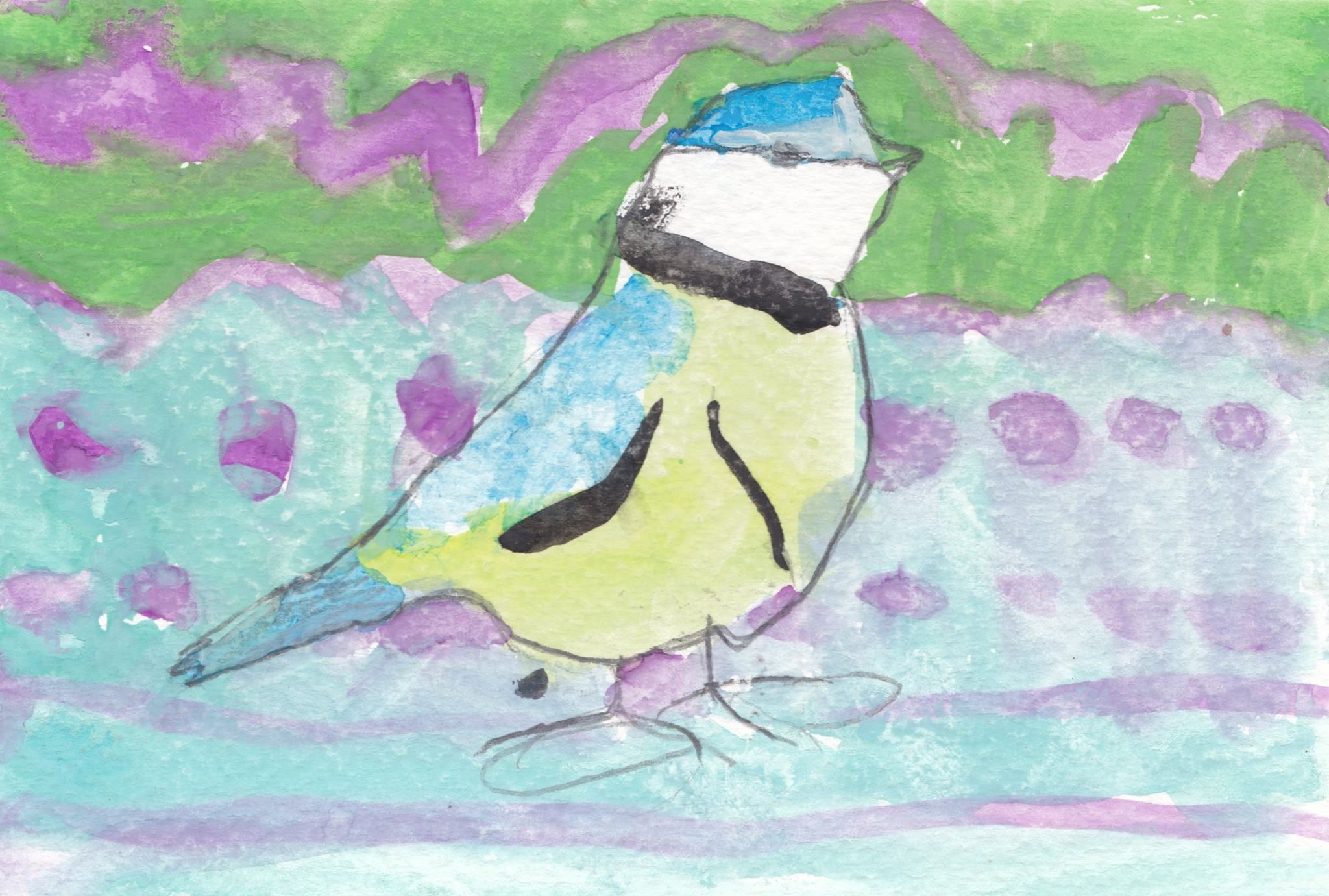 Eòin / Birds — a' siubhal nam frith-rathadan