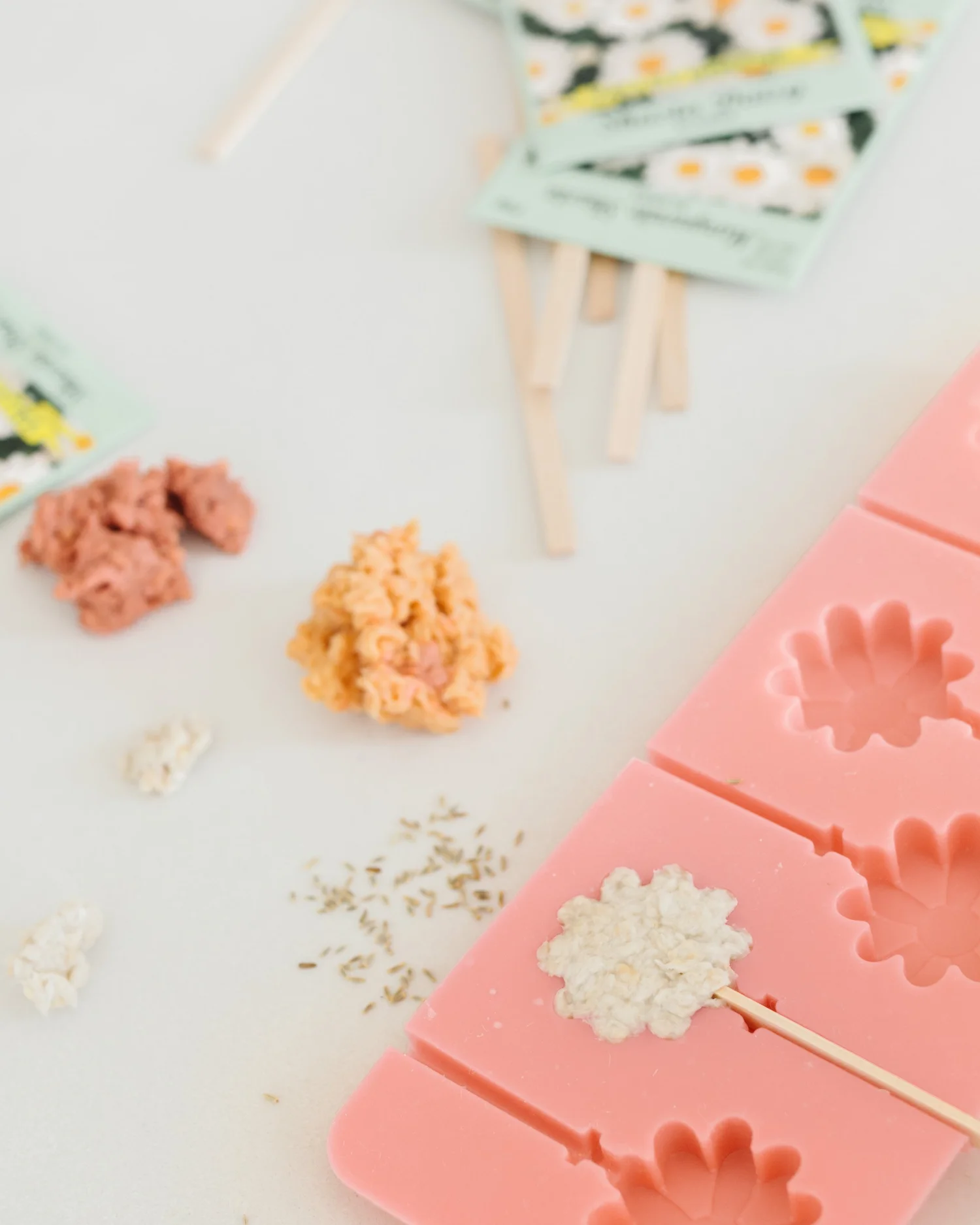 DIY flower seed pops — emelbe design