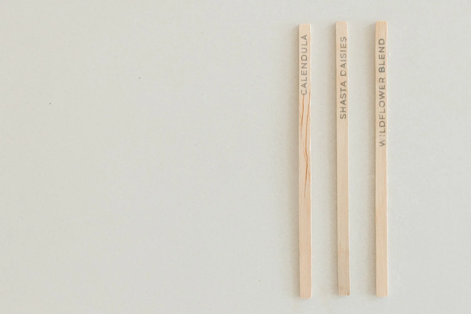 DIY flower seed pops — emelbe design