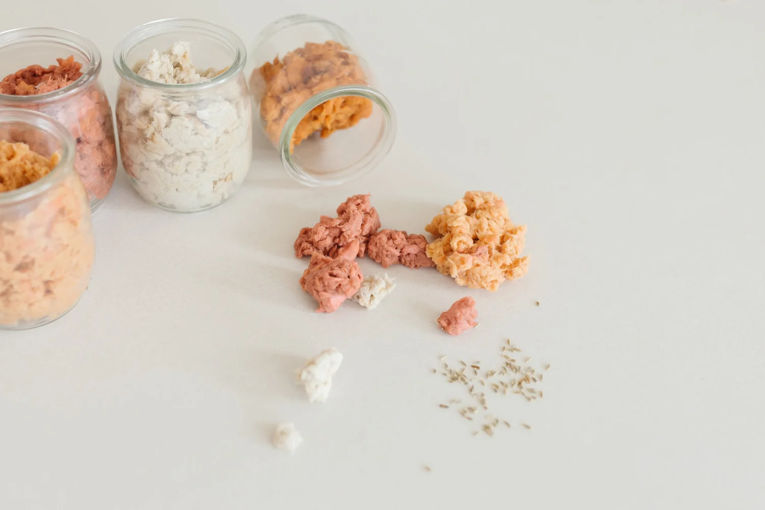 DIY flower seed pops — emelbe design