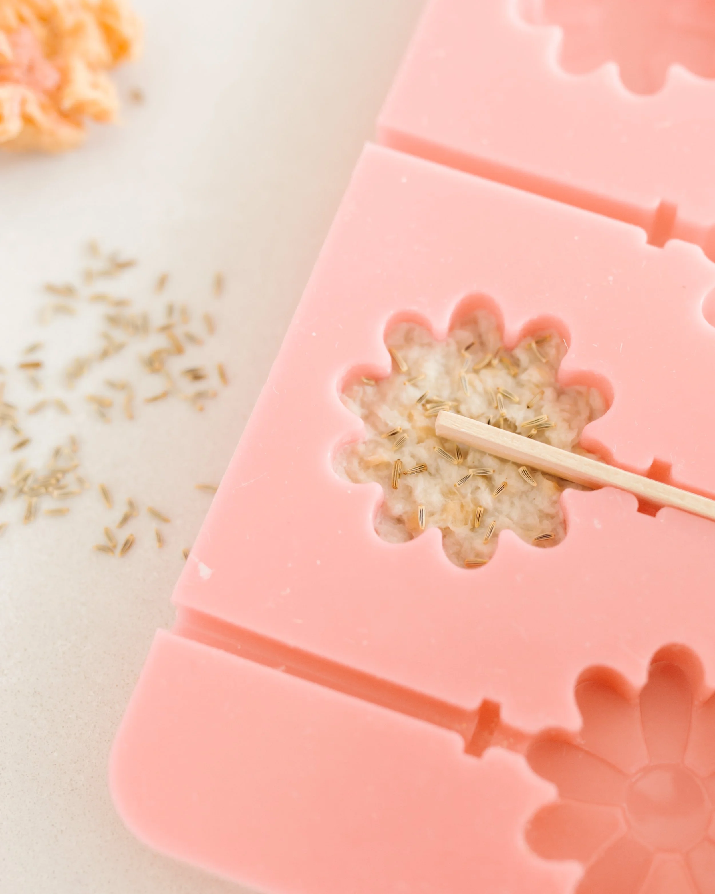 DIY flower seed pops — emelbe design