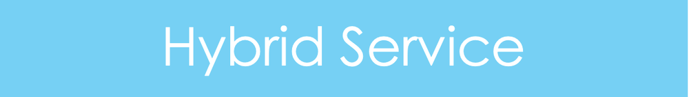 Hybrid Service — Covision