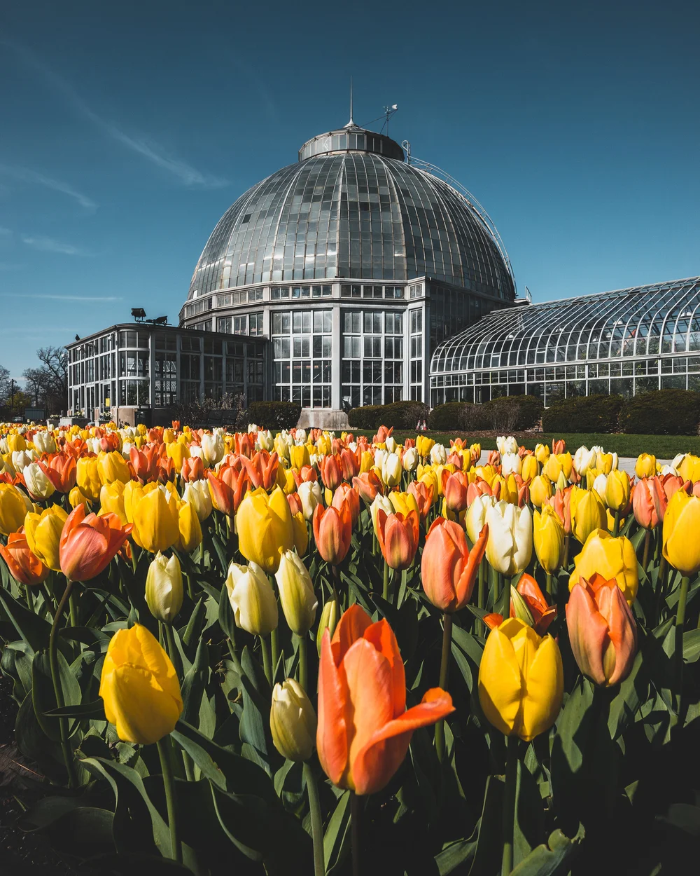 Found Detroit - Page 11 - SkyscraperPage Forum