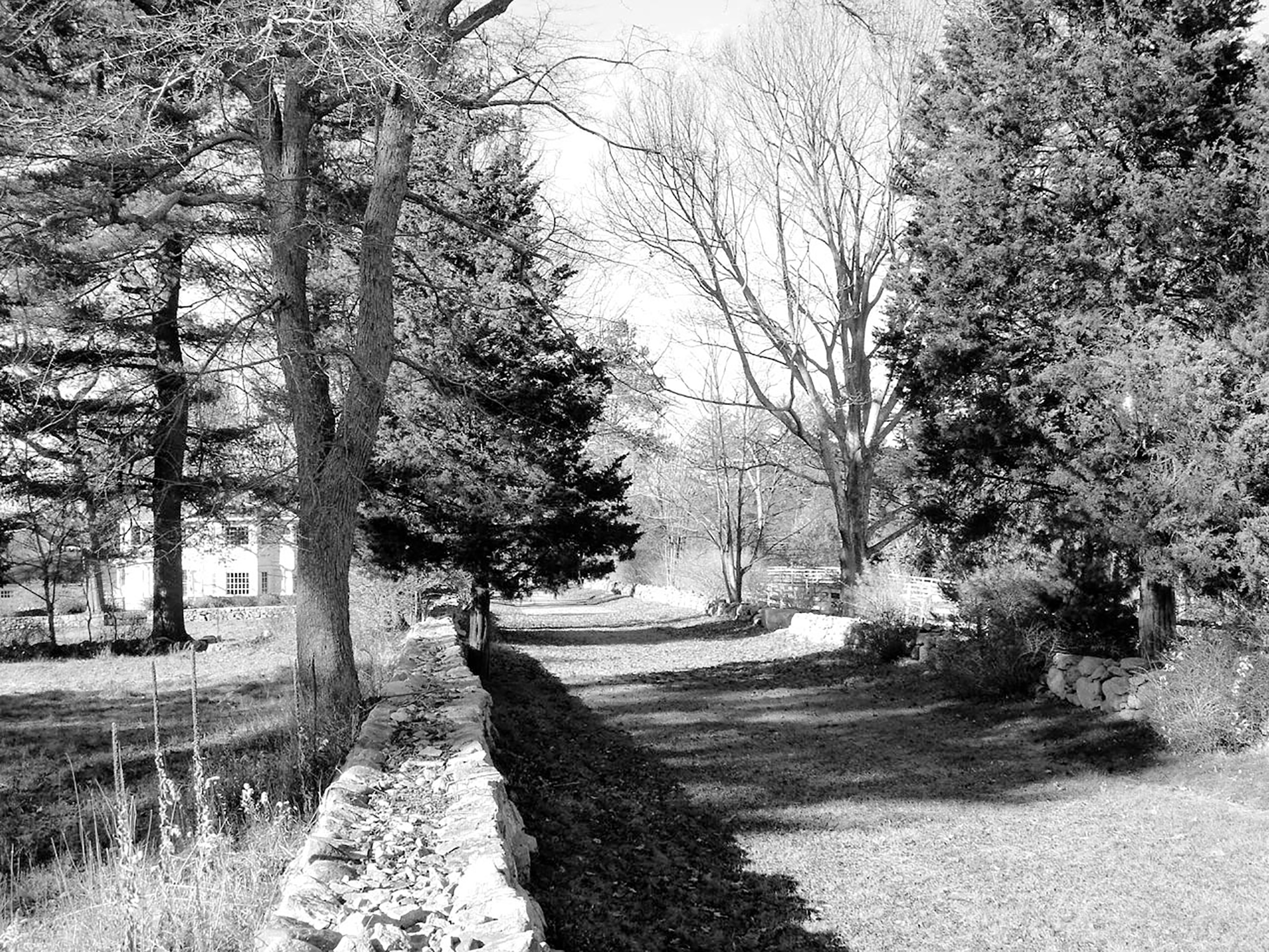 Cider Ridge Farm — STIMSON