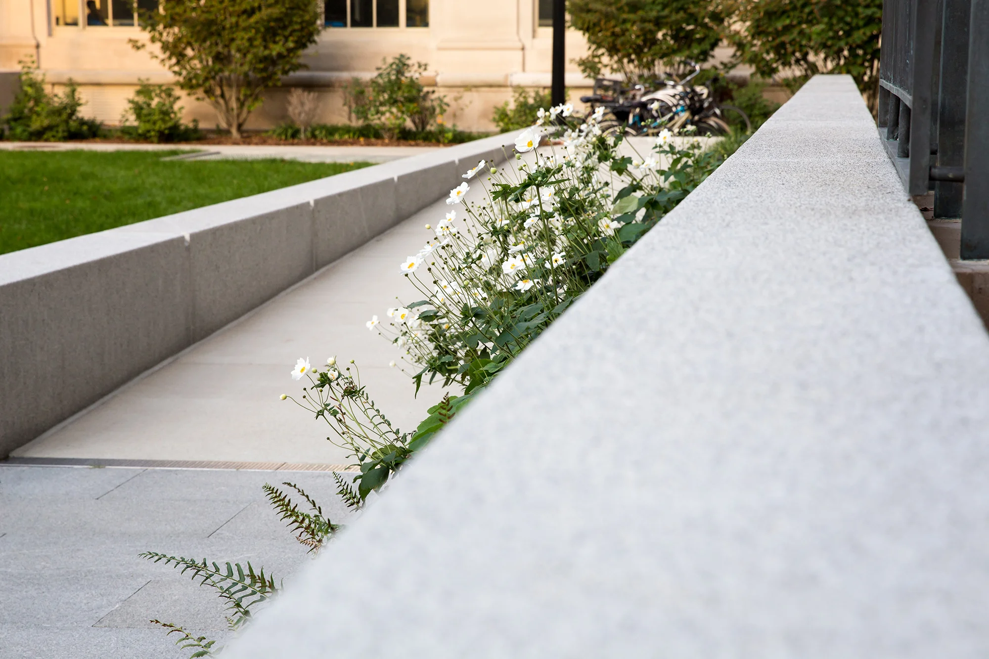 MIT Killian Court — STIMSON