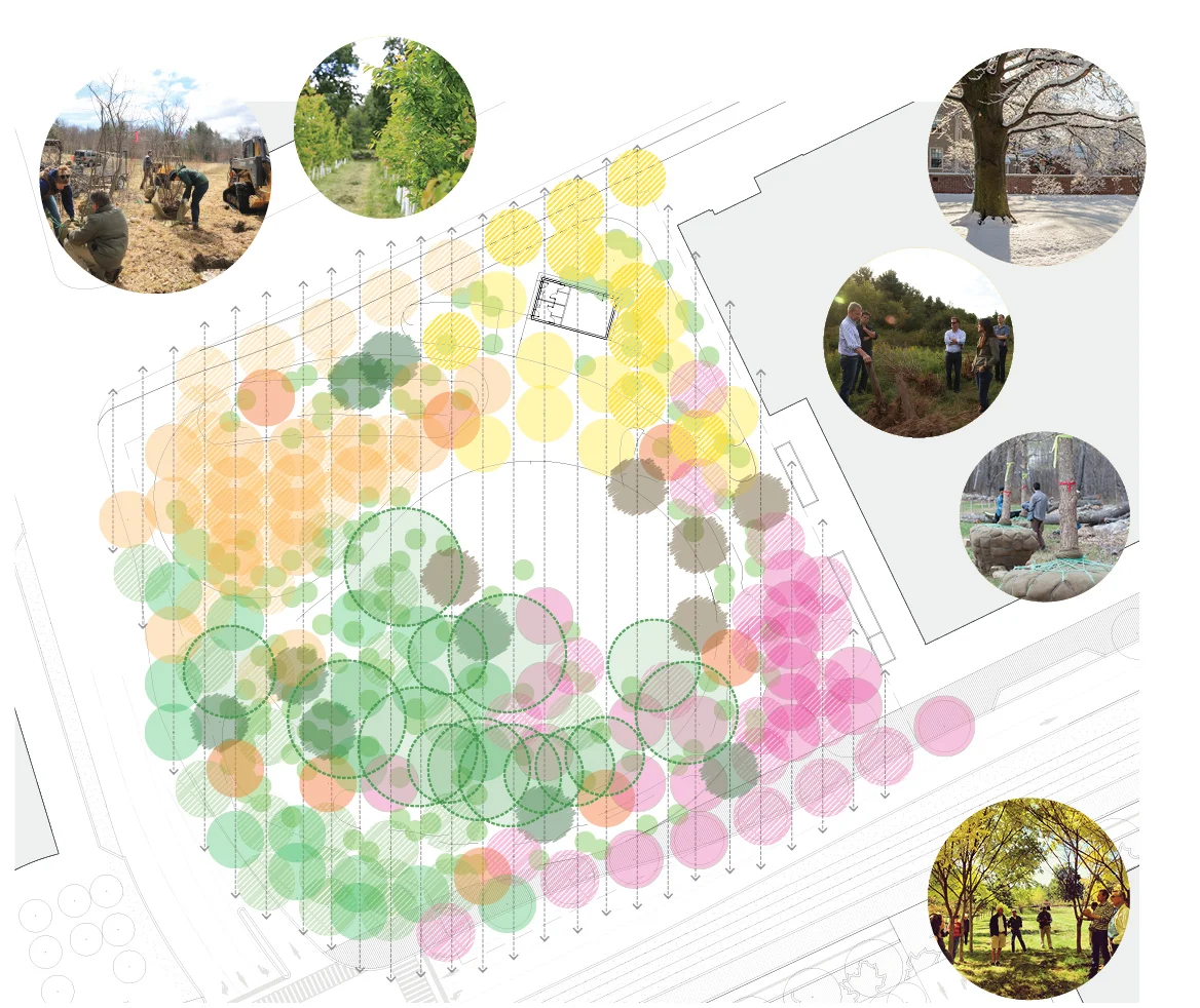 York+Forest+Booklet+single54.jpg (1168×982)