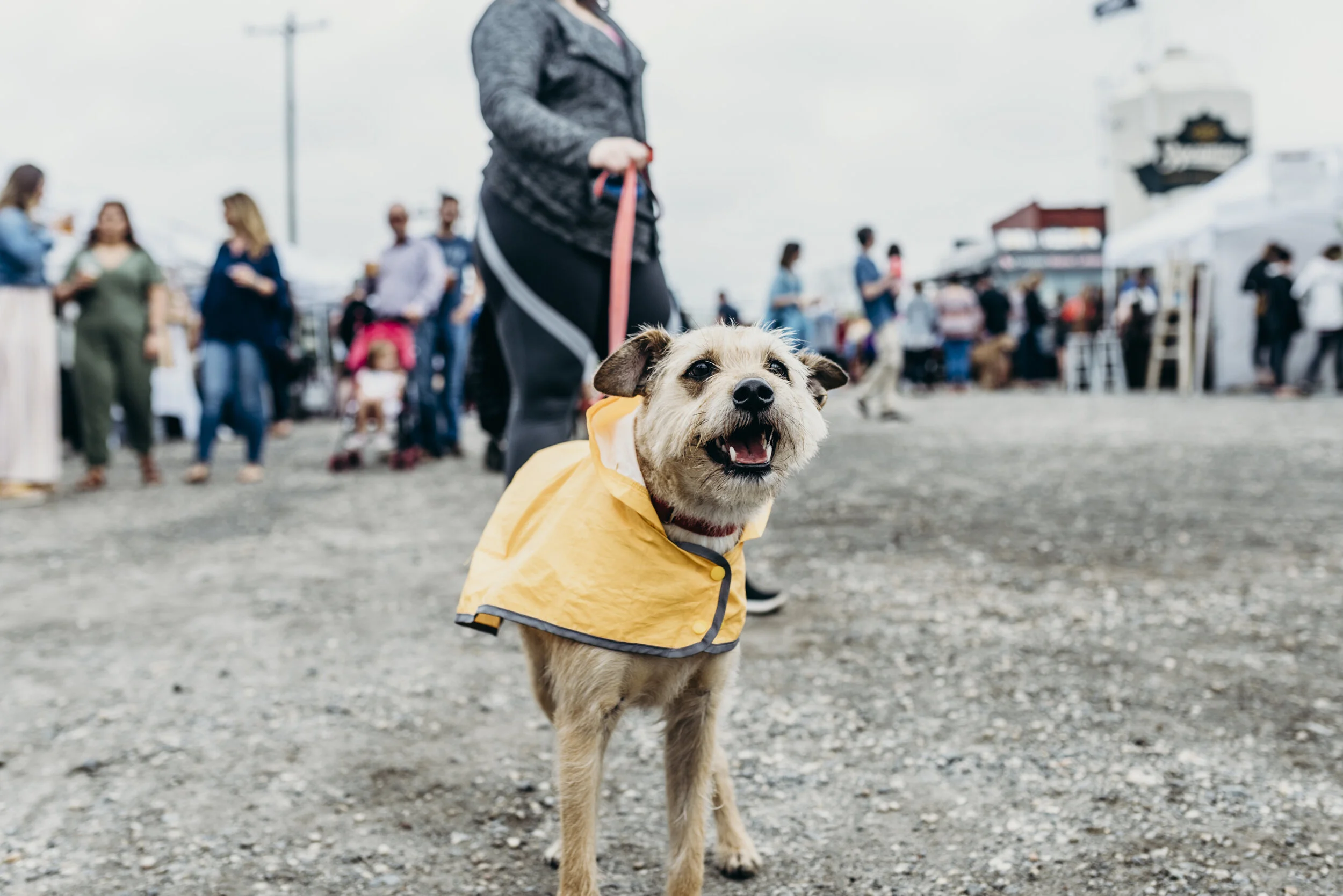Front Porch Sundays Season 5 Recap! — Esther and Elsa Retail Events