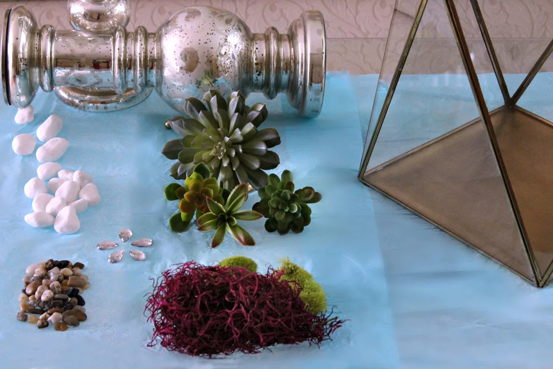 Beautiful Scents Inspire: How to Make a Stunning Terrarium | J'adore le ...