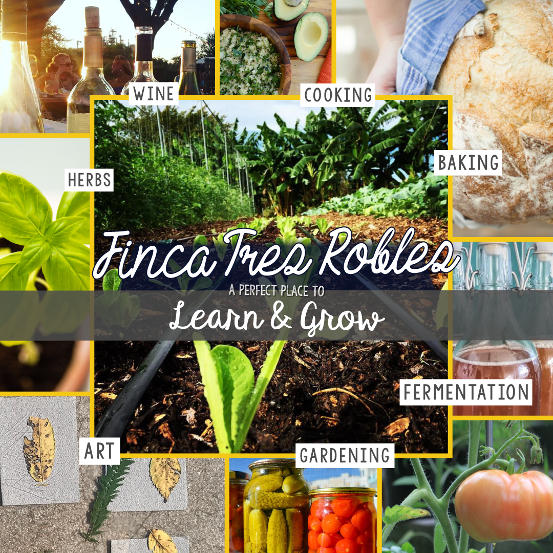 Fall Farm Class Schedule - Small Places | Lugarcitos