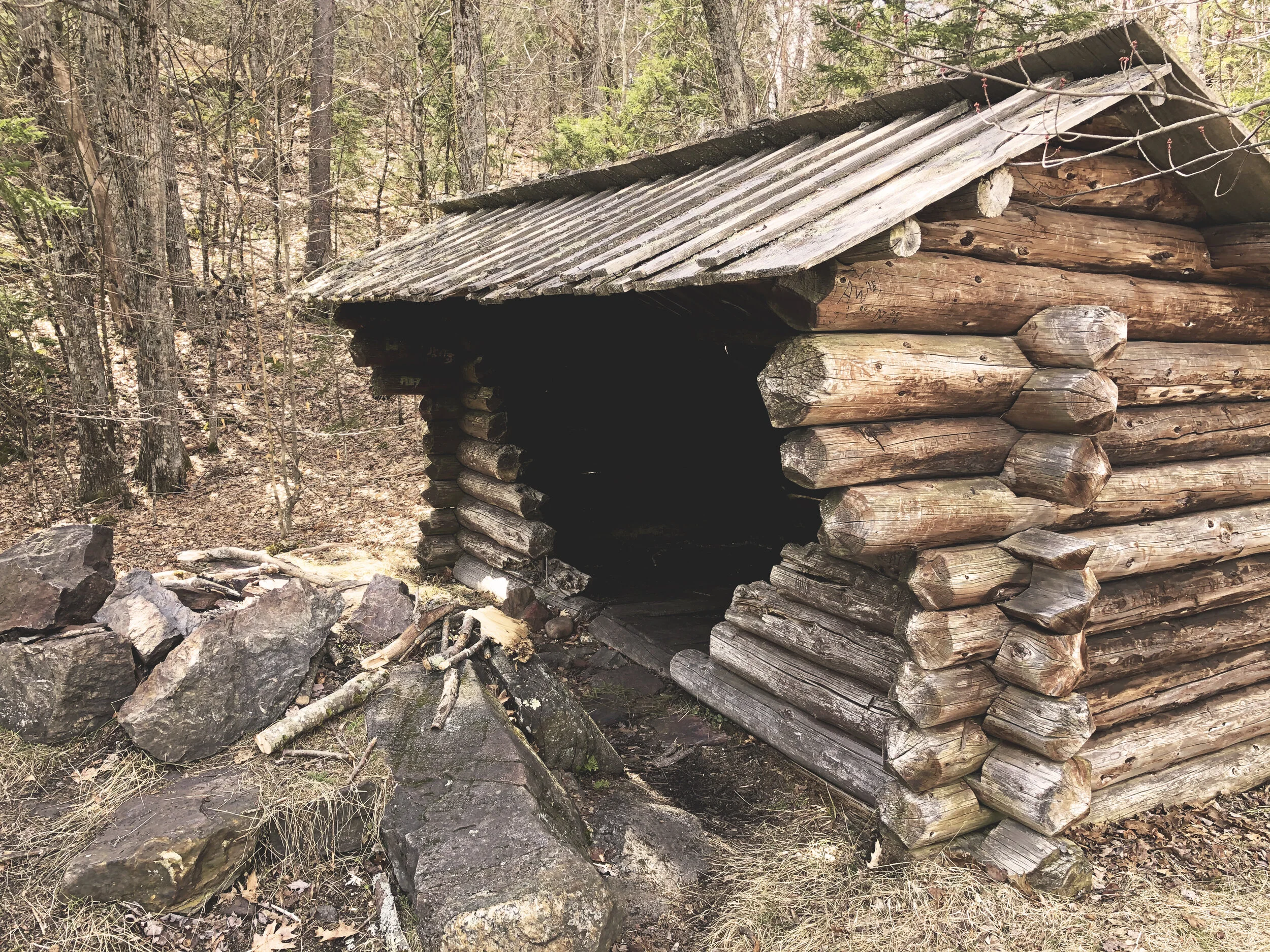 HIKING BALD ROCK TRAIL — OLIVIA JOY ST.CLAIRE