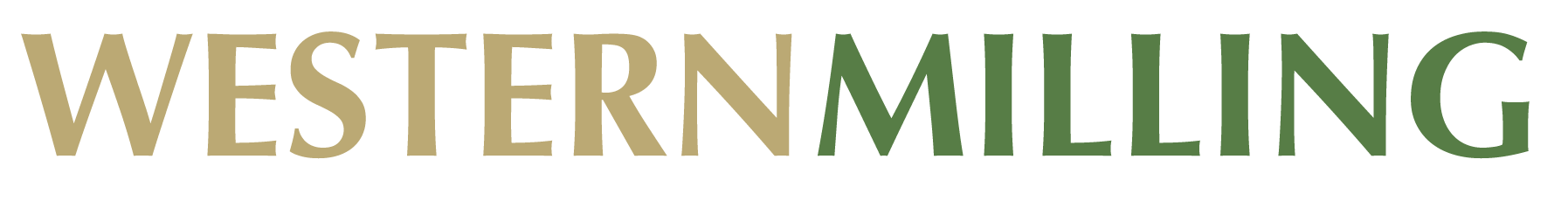 Annual Gala — ImagineU