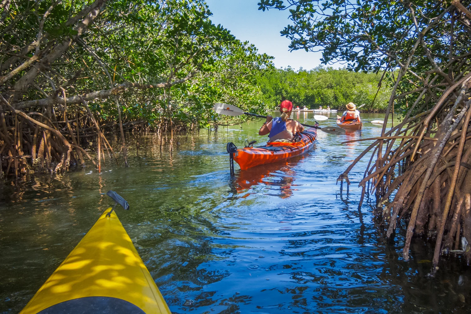 Community Conservation — Conservation Florida