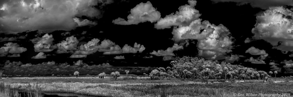 Photographing the Night Sky at Kissimmee Prairie Preserve ...