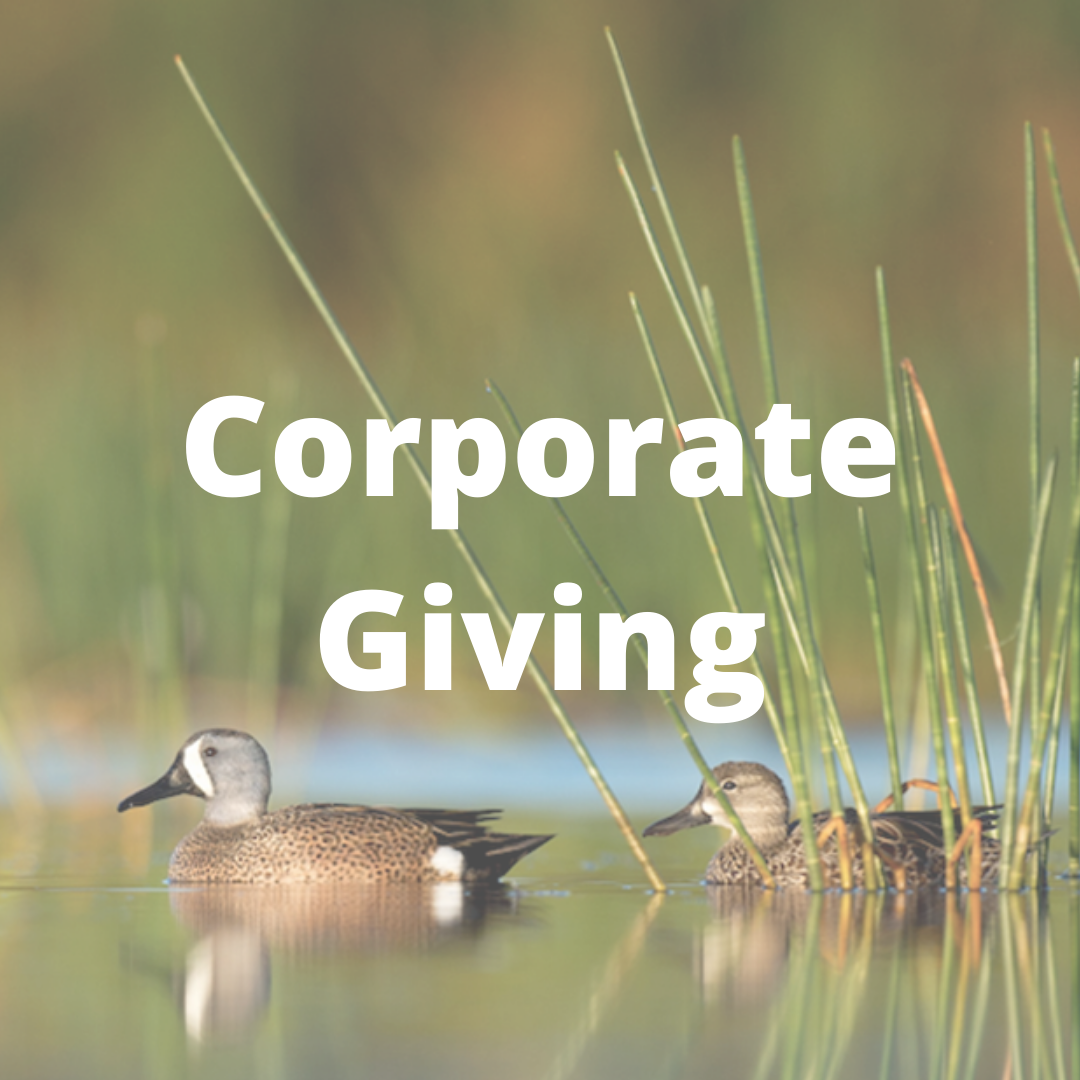Ways to Give — Conservation Florida